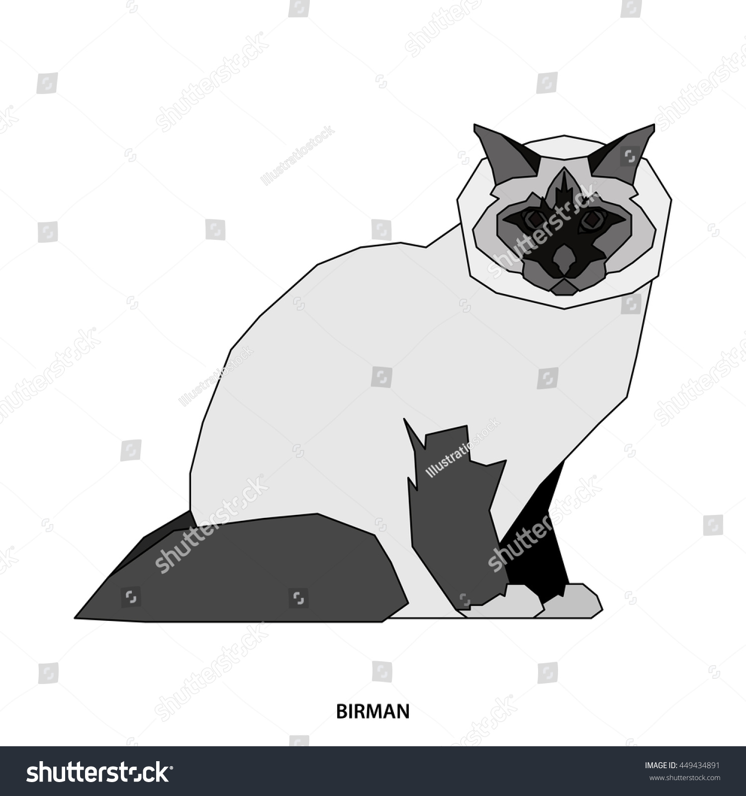 Birman Isolated Cat Breed Vector Illustration: เวกเตอร์สต็อก (ปลอดค่า ...