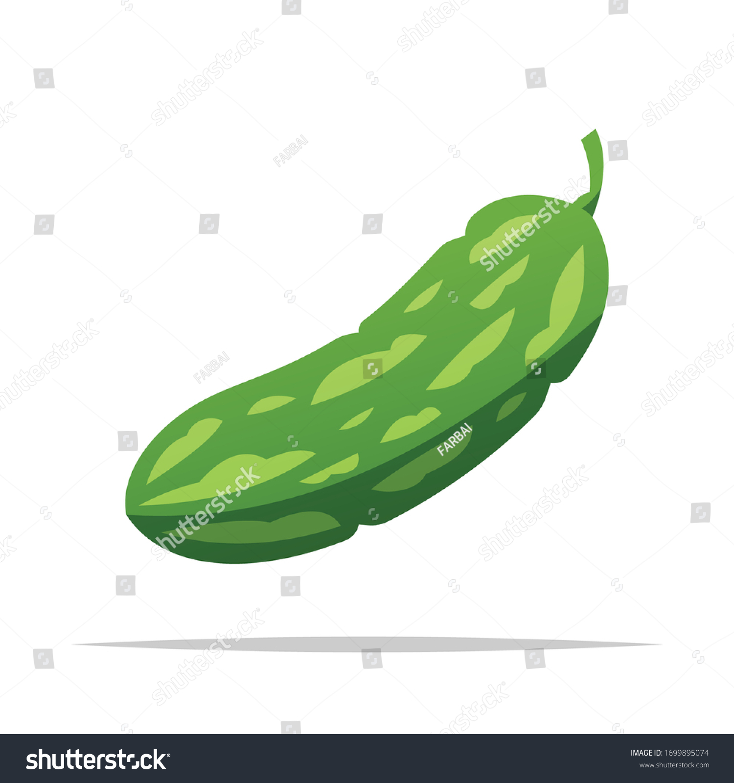 Bitter Gourd Vector Isolated Illustration: เวกเตอร์สต็อก (ปลอดค่า ...
