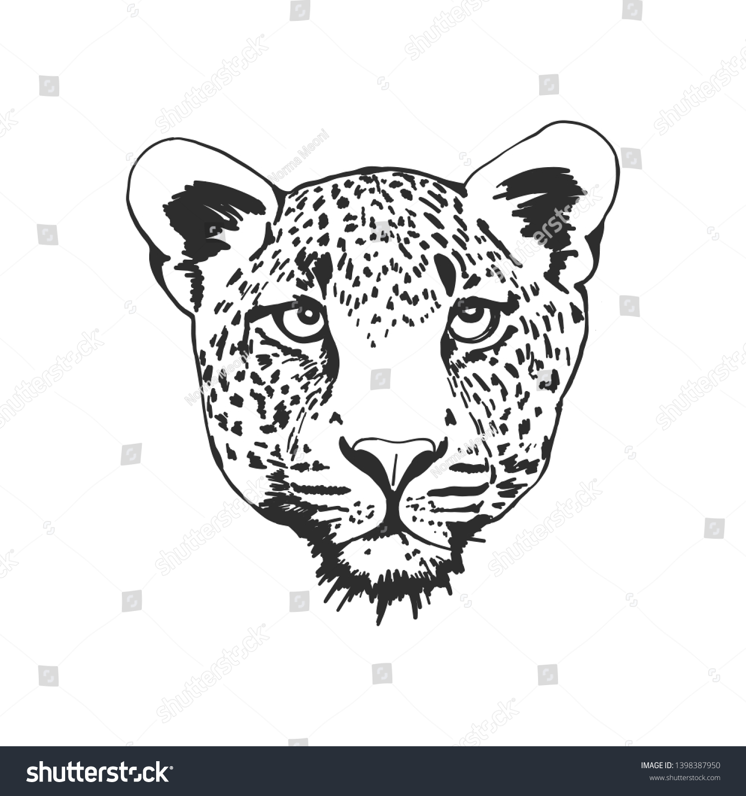 Black White Leopard Head Vector Illustration Stock Vector (Royalty Free ...