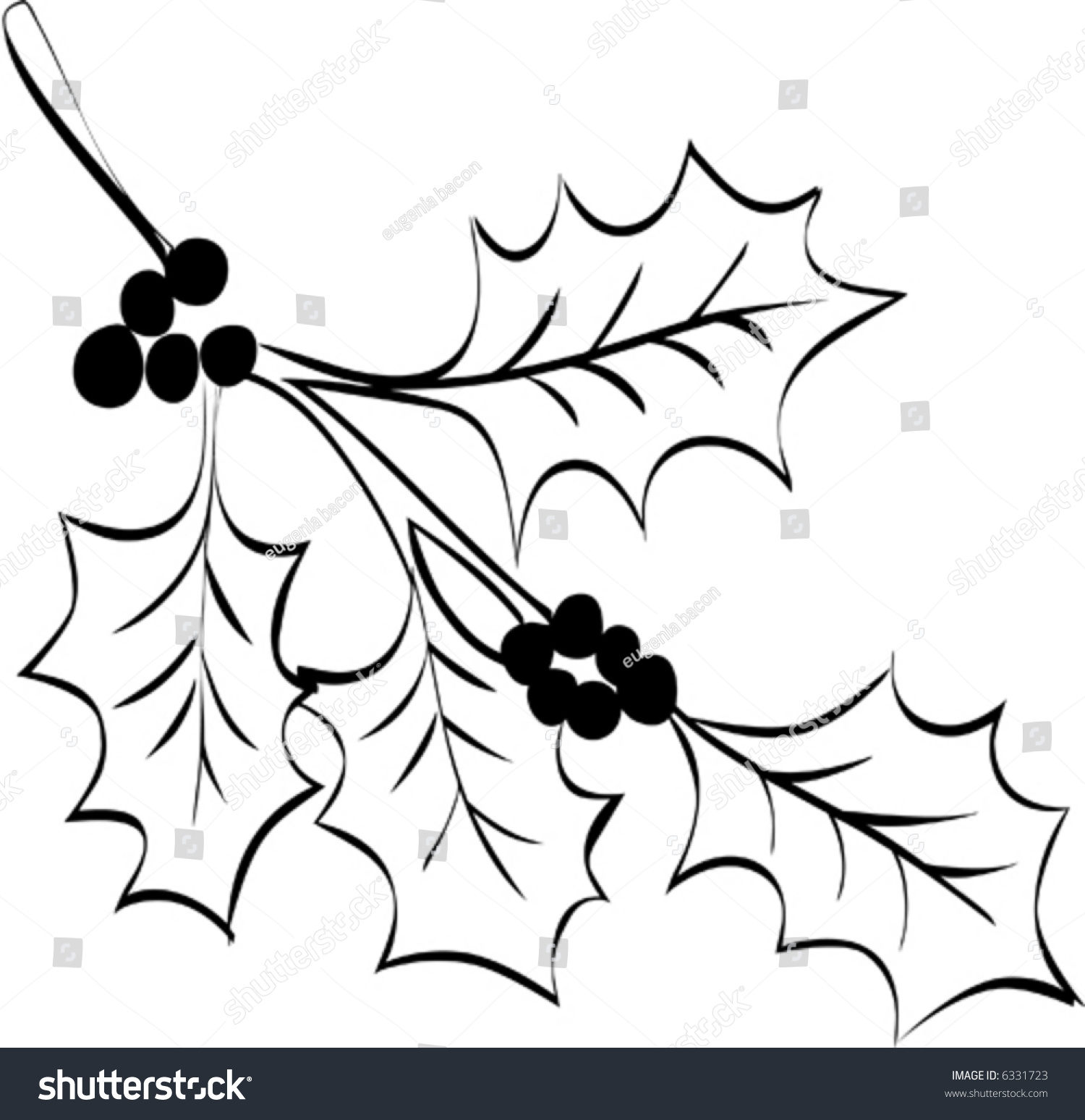 Black White Vector Holly: เวกเตอร์สต็อก (ปลอดค่าลิขสิทธิ์) 6331723 ...