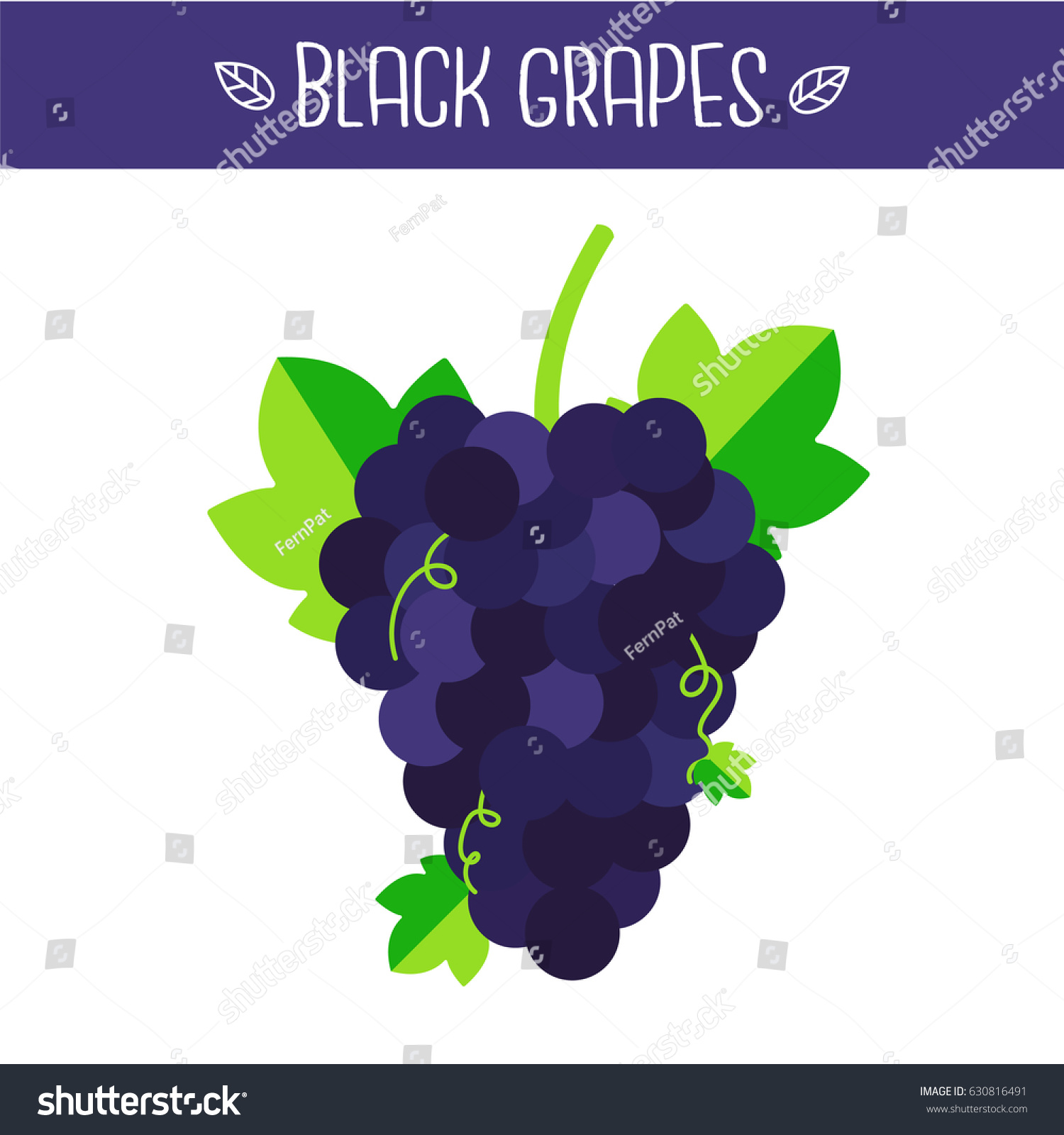 Black Grapes Vector Illustration Stock Vector (Royalty Free) 630816491 ...
