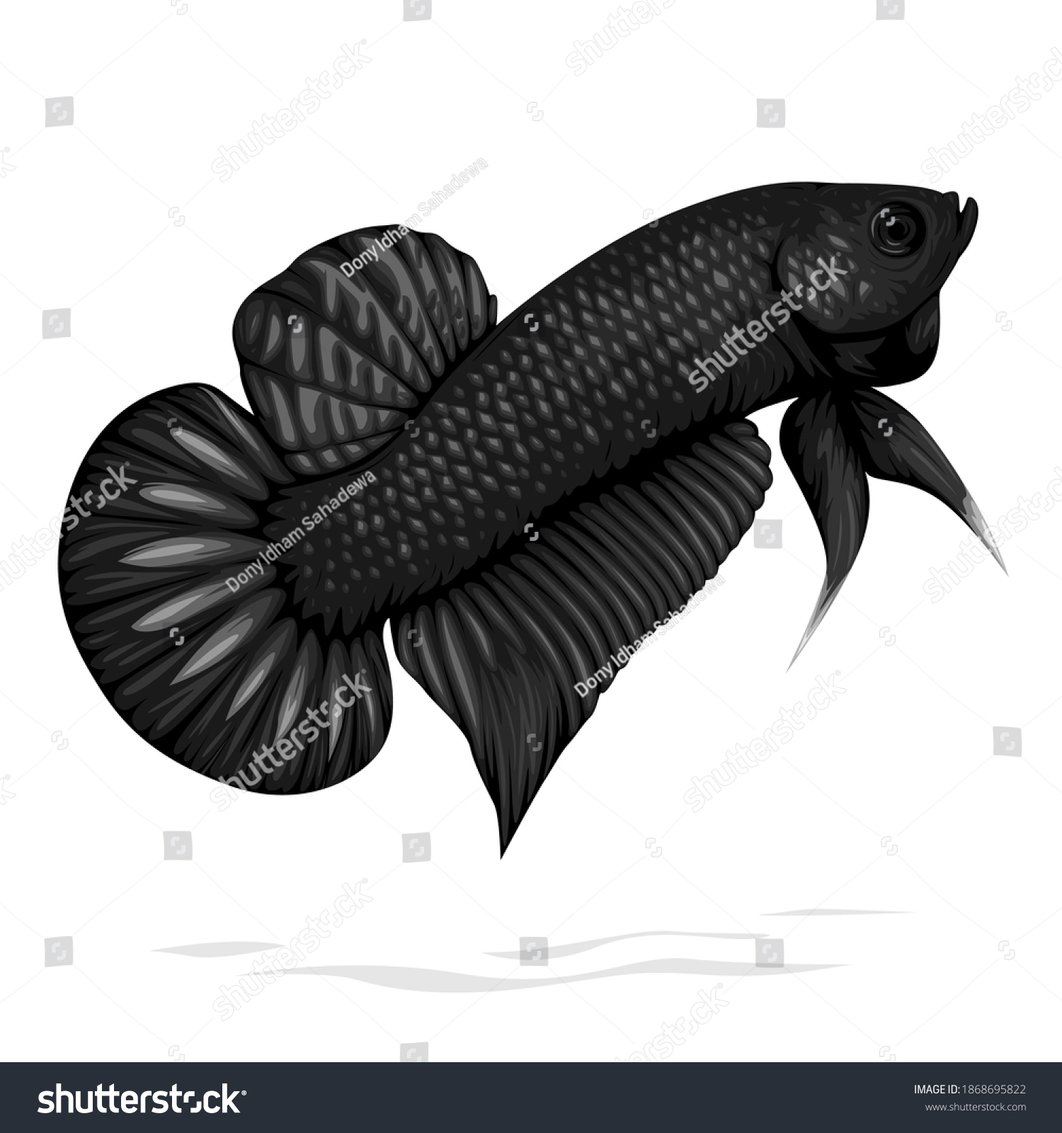 Black King Betta Fish Vector Isolated Stock Vector (Royalty Free ...