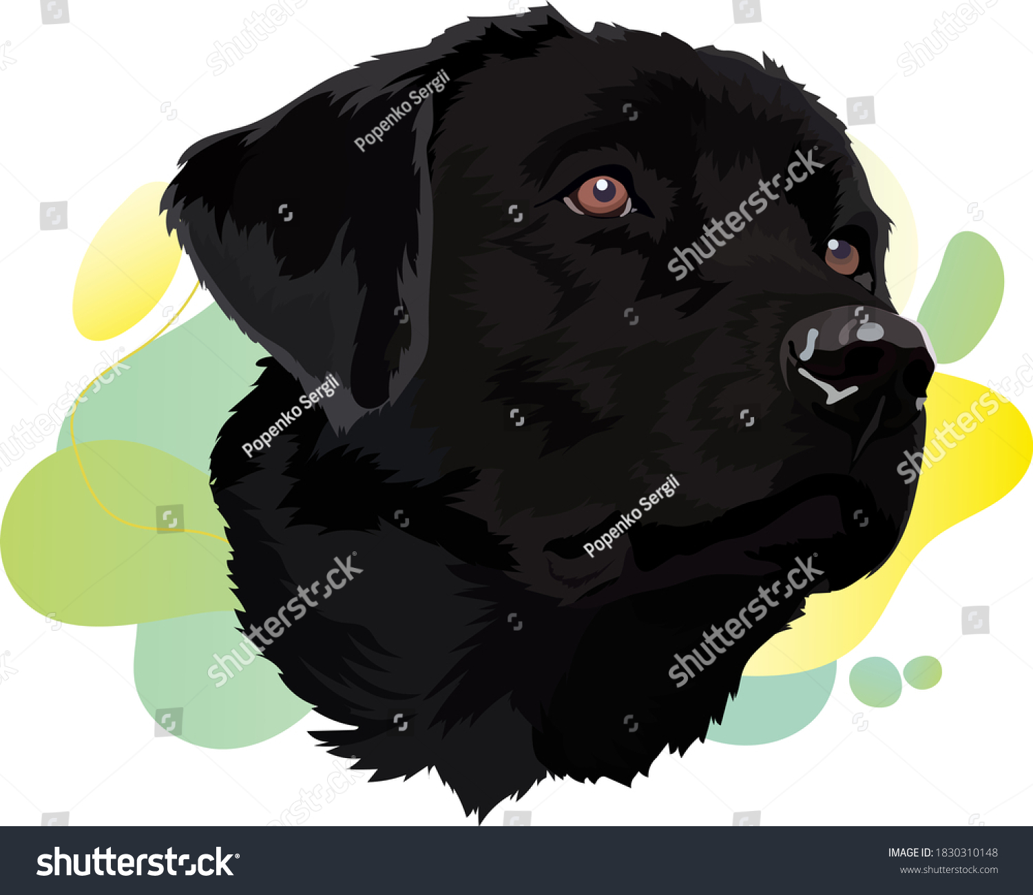 Black Labrador Vector Illustration Trend Stock Vector (Royalty Free ...