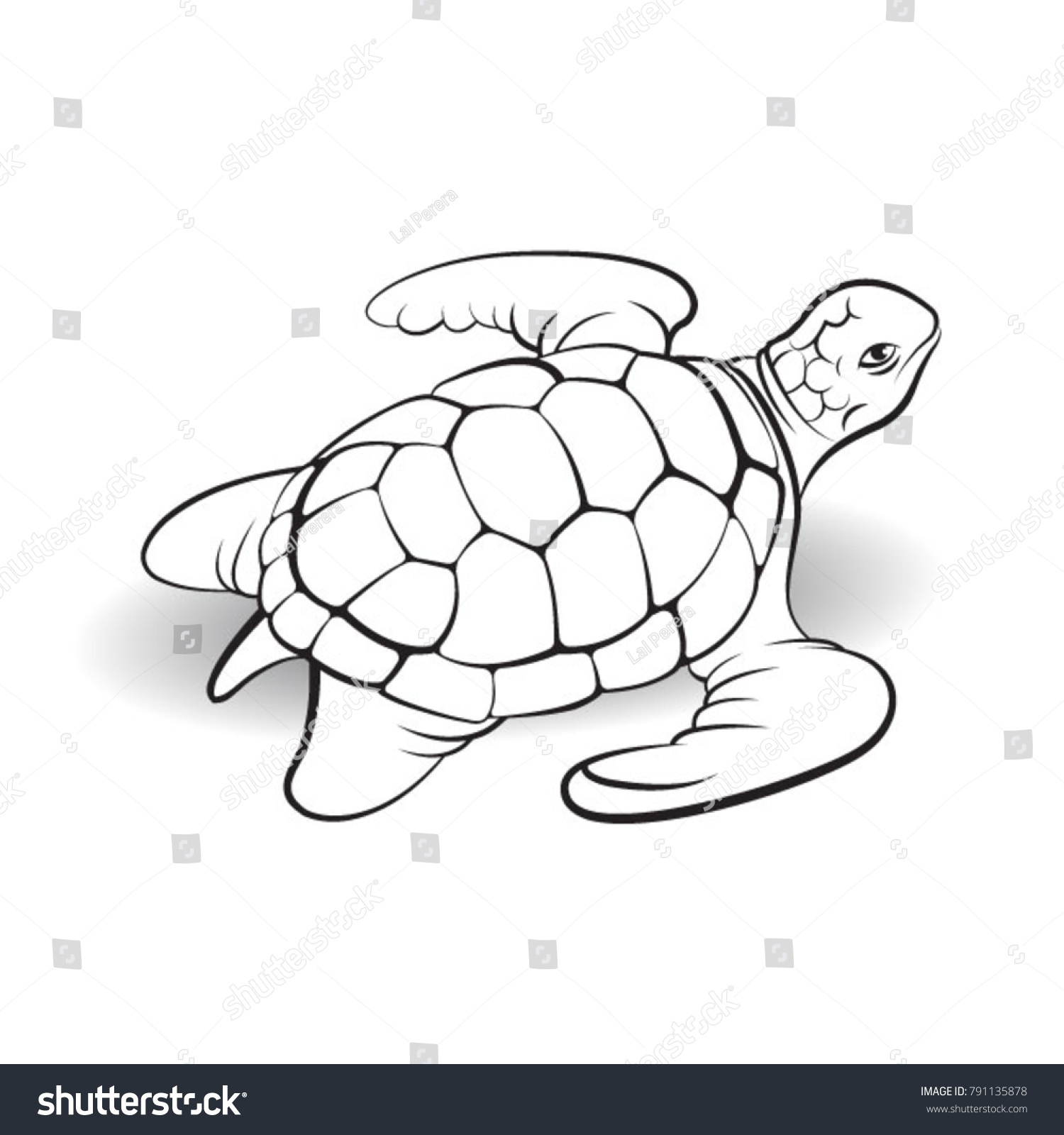 Black Outline Turtle Vector Cartoon Stock Vector (Royalty Free ...