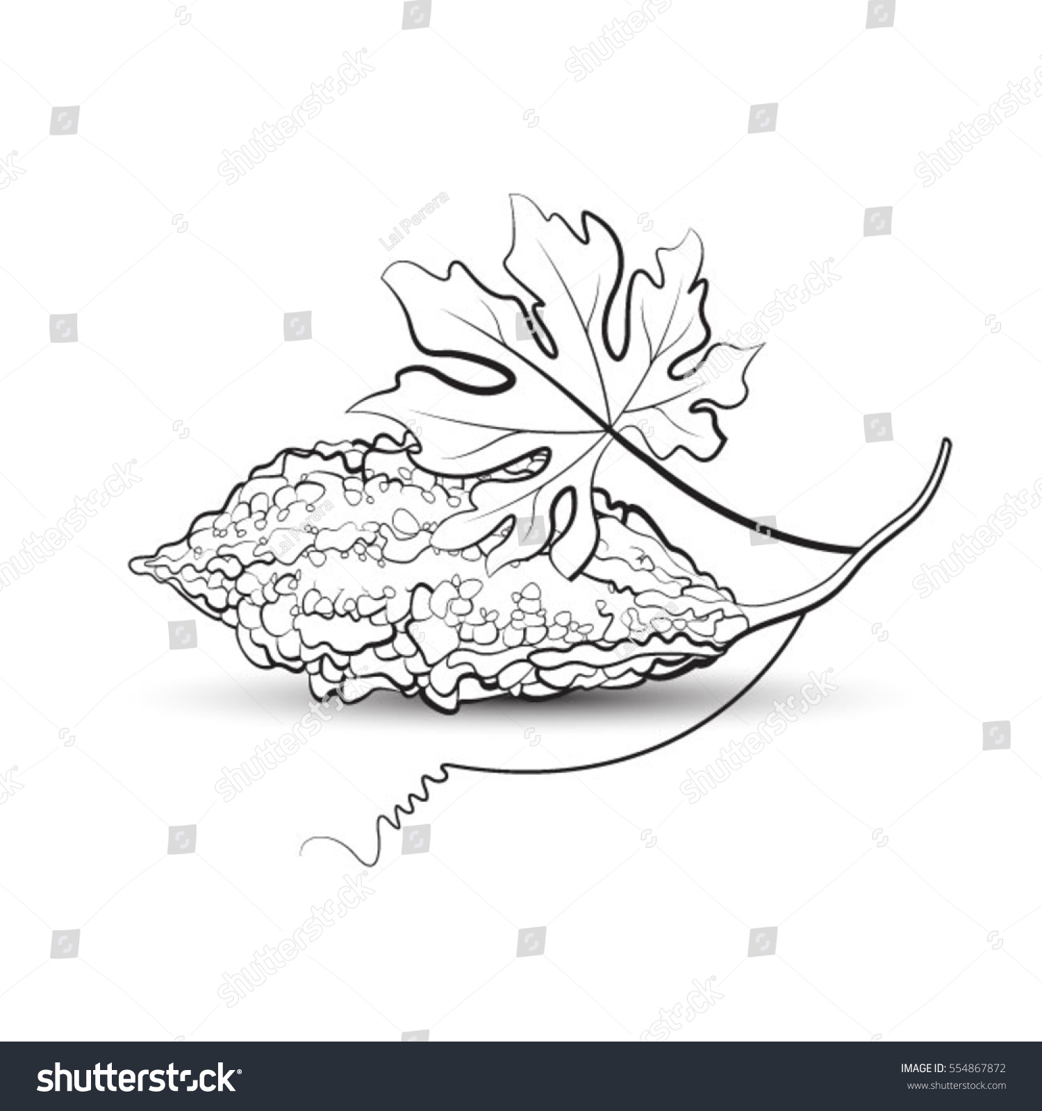 Black Outlined Bitter Guard Leafvector Drawing: vector de stock (libre ...