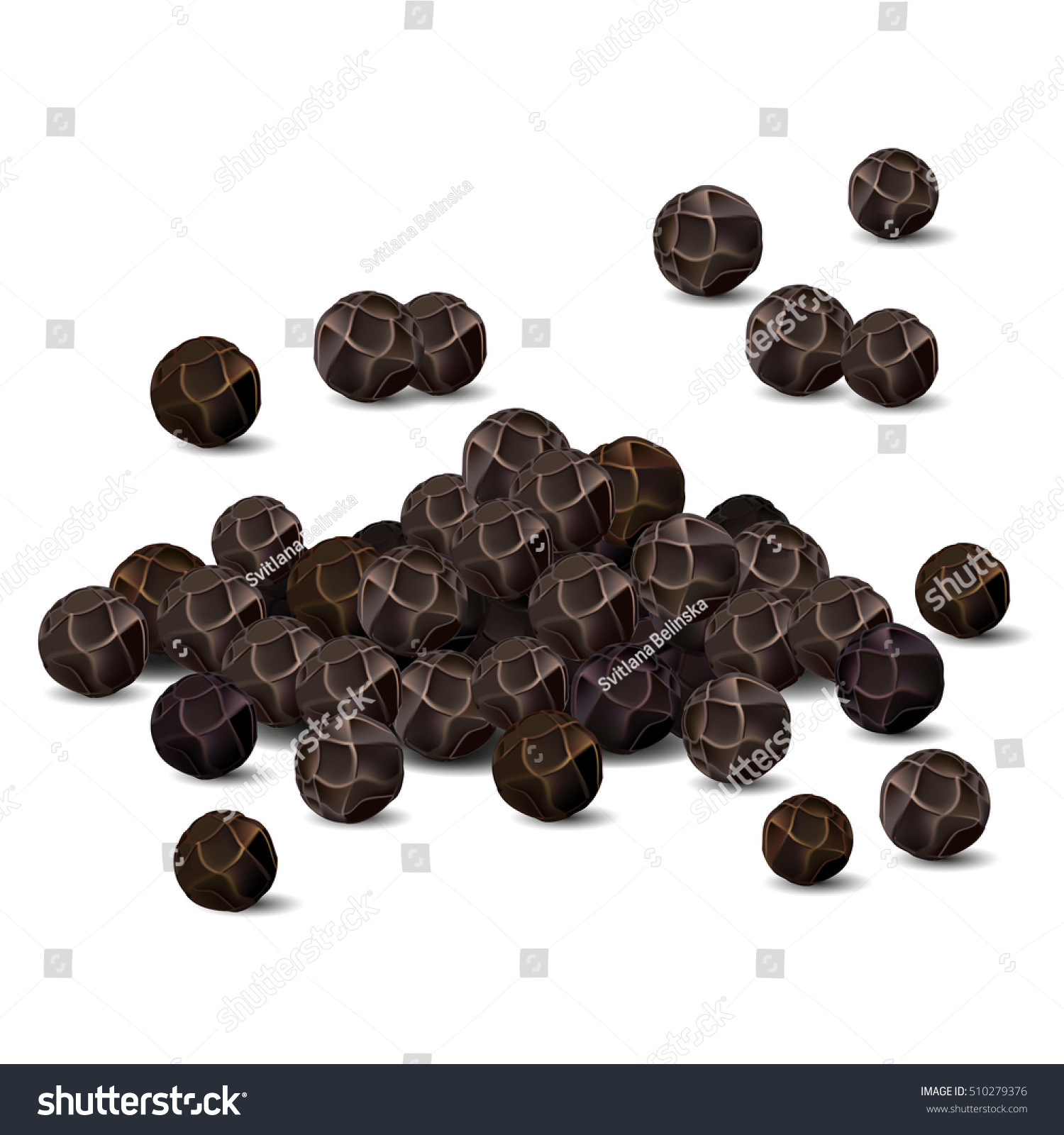 1,886 Black peppercorn Stock Illustrations, Images & Vectors | Shutterstock