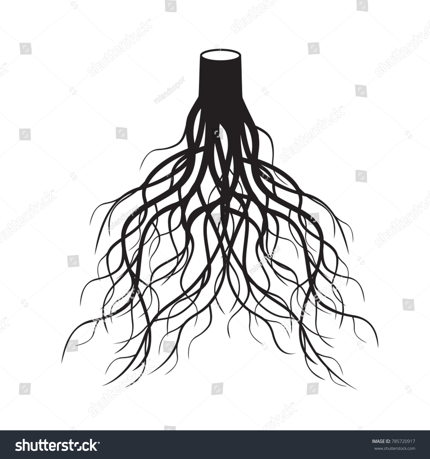 Black Roots Tree Vector Illustration Stock Vector (Royalty Free) 785720917