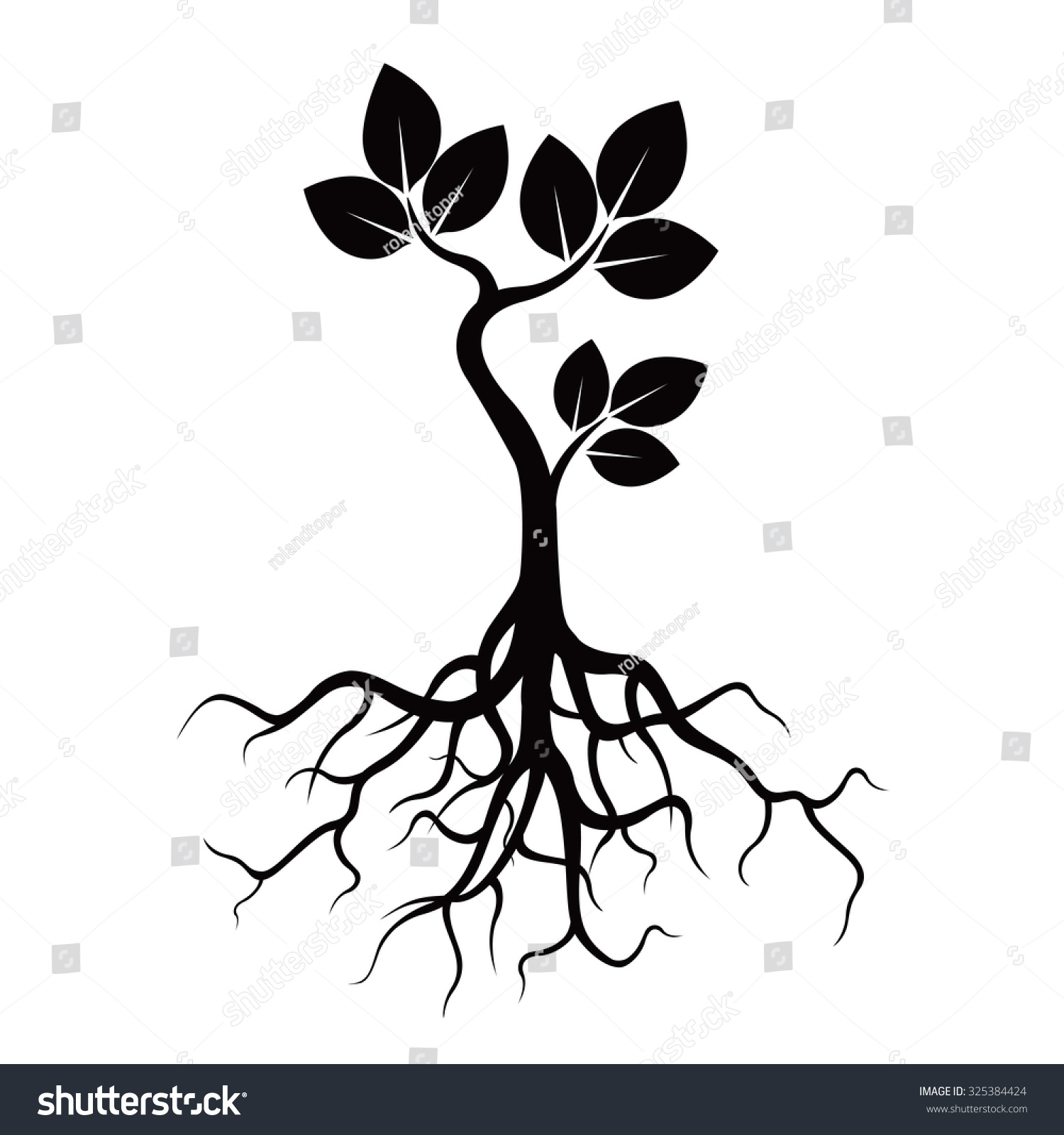 Black Tree Roots Vector Illustration Stock Vector (Royalty Free ...