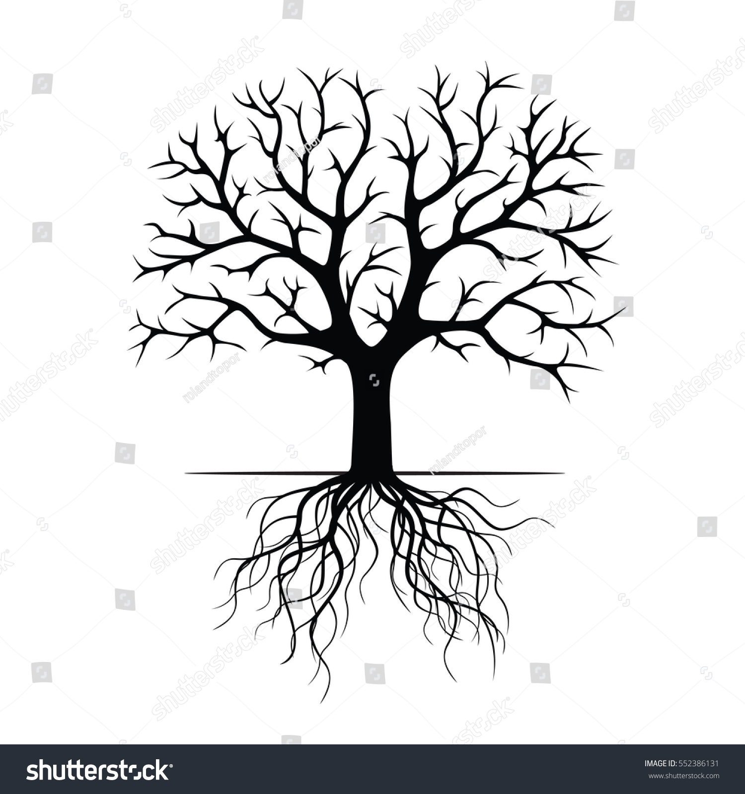 Black Tree Roots Vector Illustration 스톡 벡터(로열티 프리) 552386131 | Shutterstock