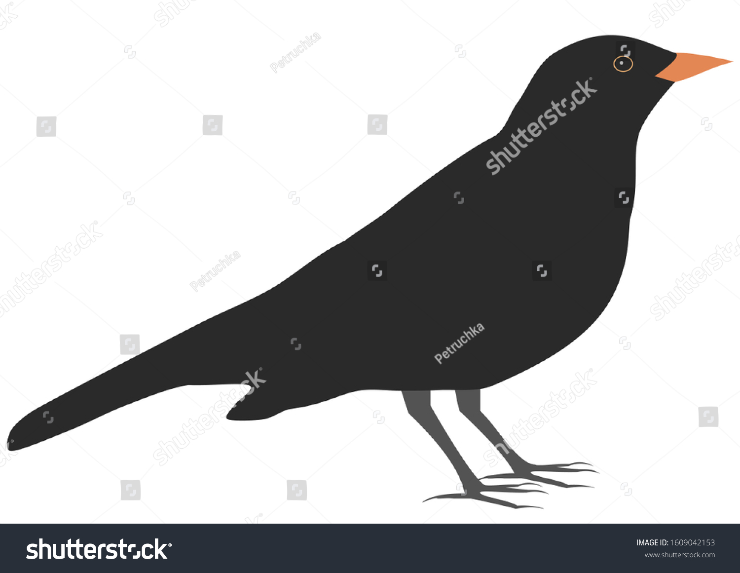 Blackbird Simple Vector Illustration Isolated On Stock Vector (Royalty ...