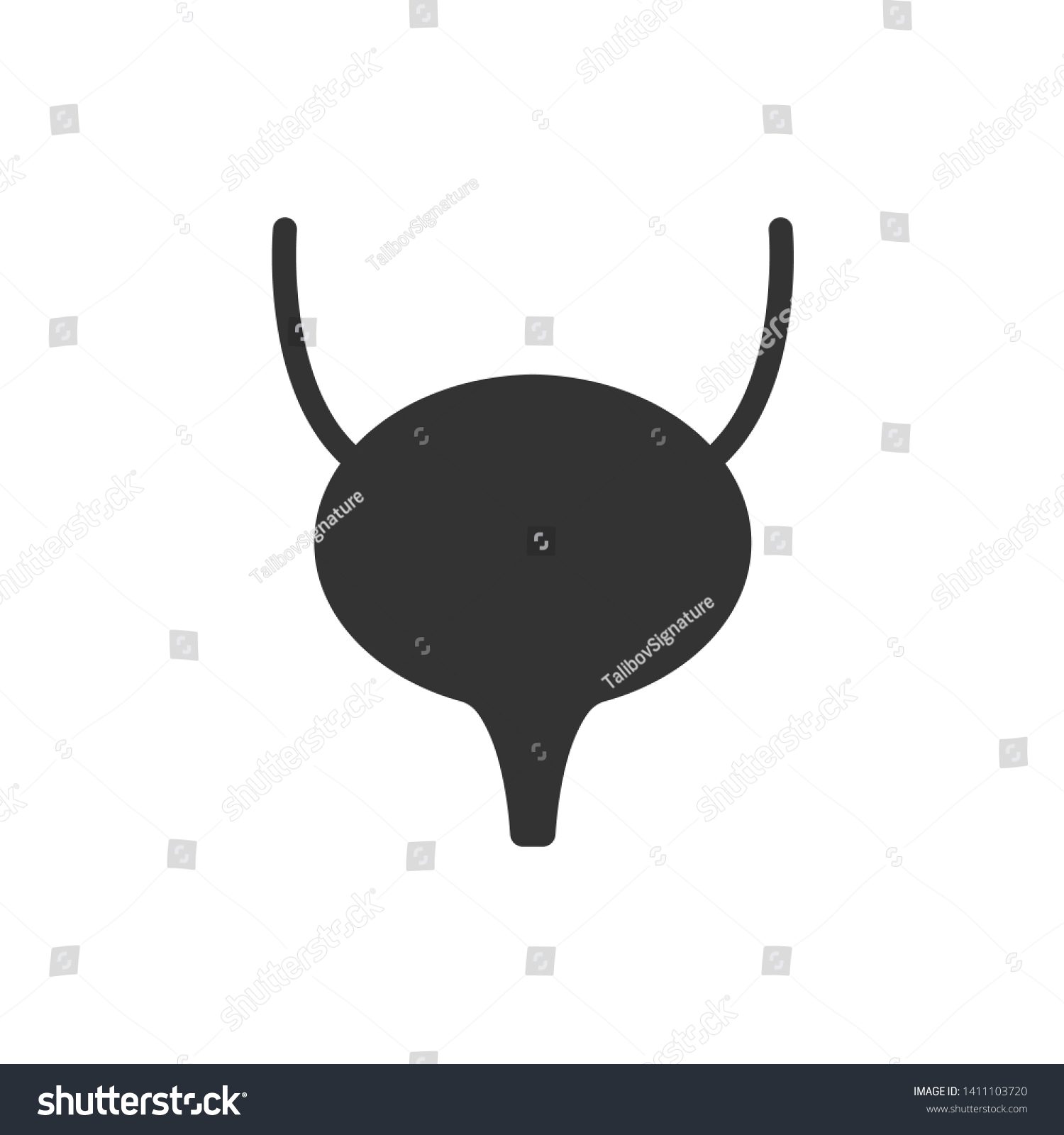 Bladder Icon Vector Illustration Organ Icon Stock Vector (Royalty Free ...