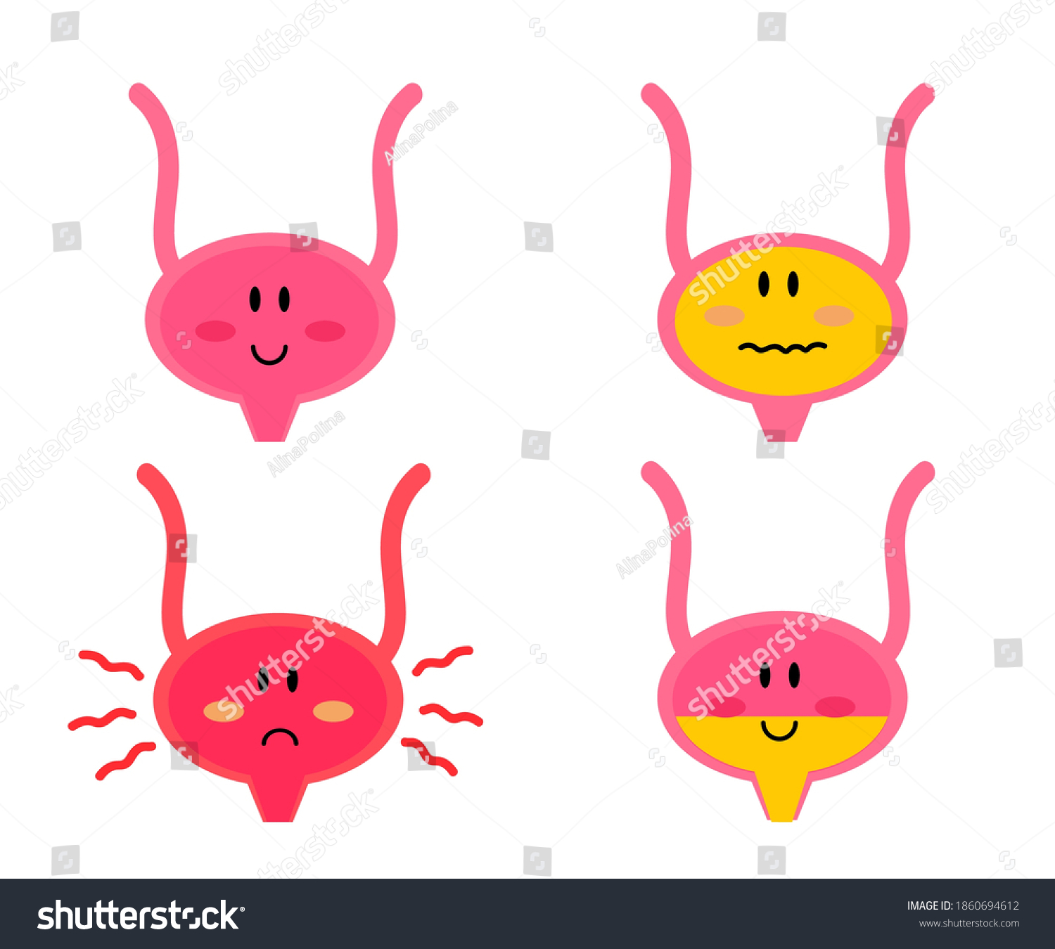 Bladder On White Background Cystitis Vector Stock Vector (Royalty Free ...