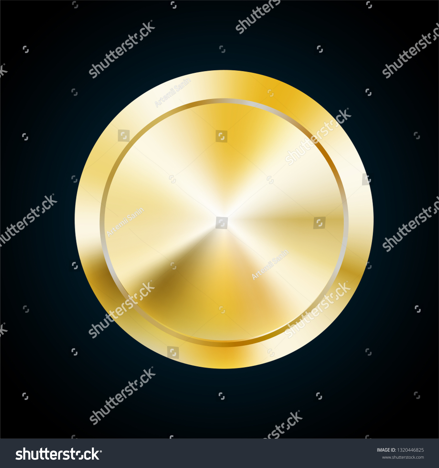 Blank Gold Token Vector Illustration Stock Vector (Royalty Free) 1320446825