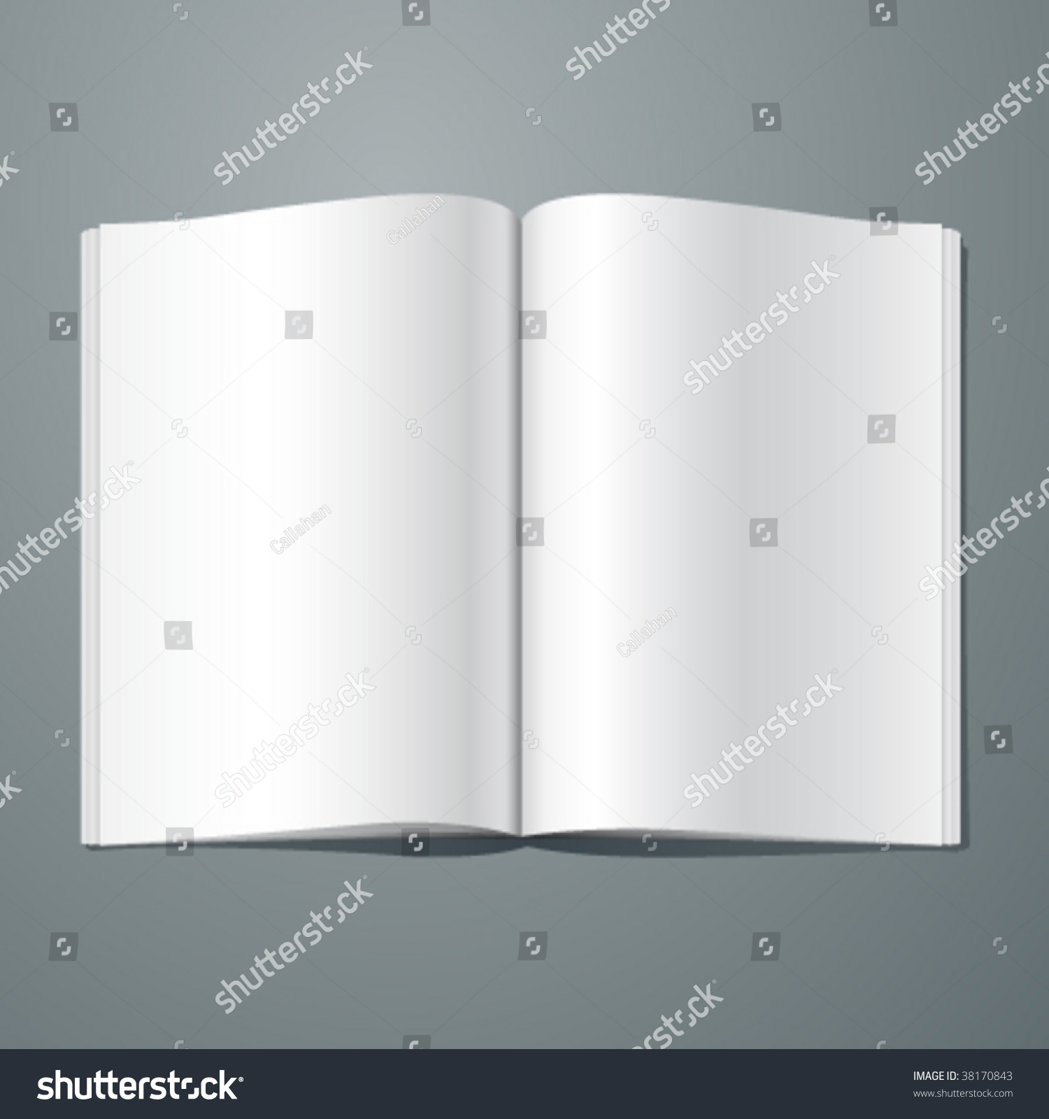 Blank Magazine Spread Editable No Mesh Stock Vector (Royalty Free) 38170843