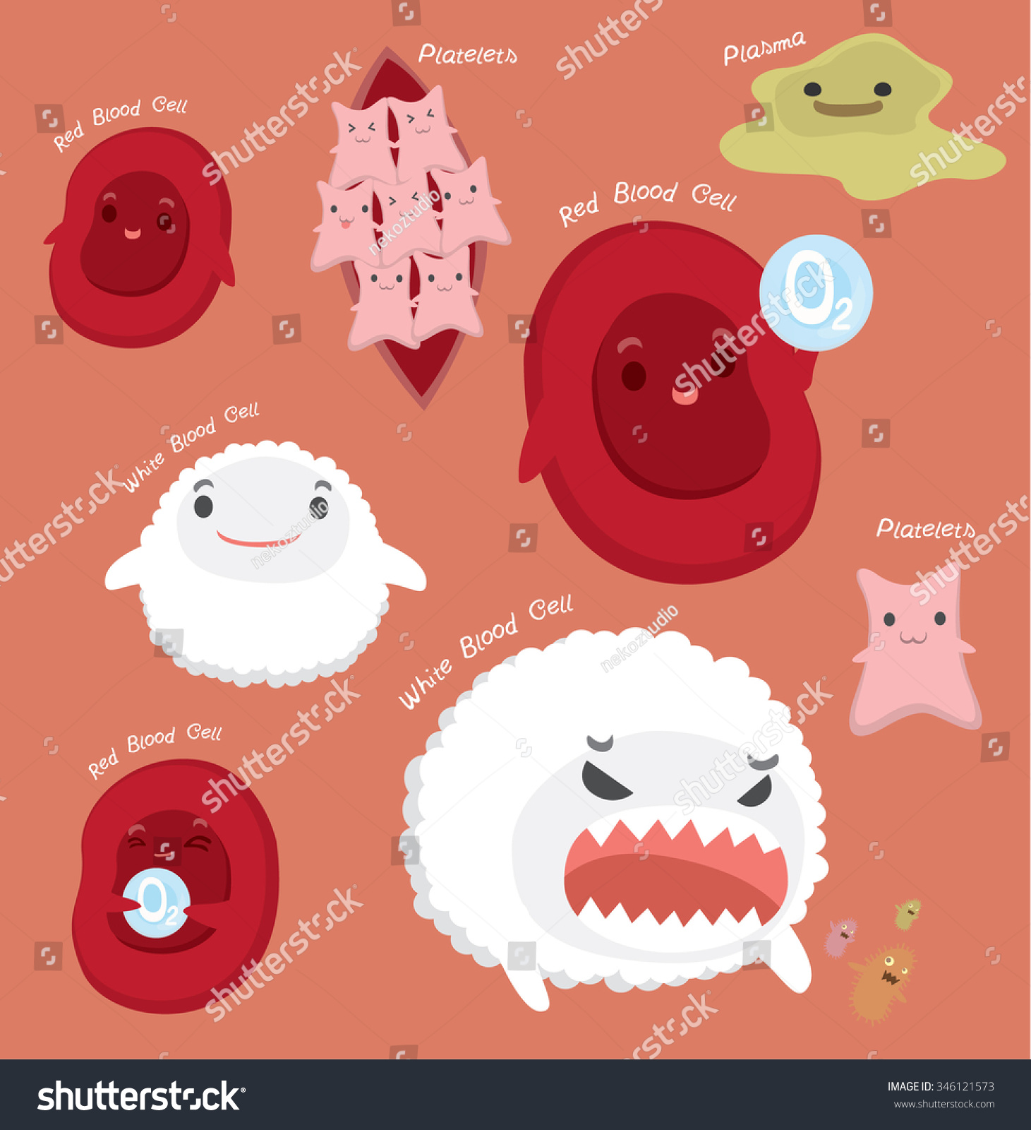 Blood System Stock Vector (Royalty Free) 346121573