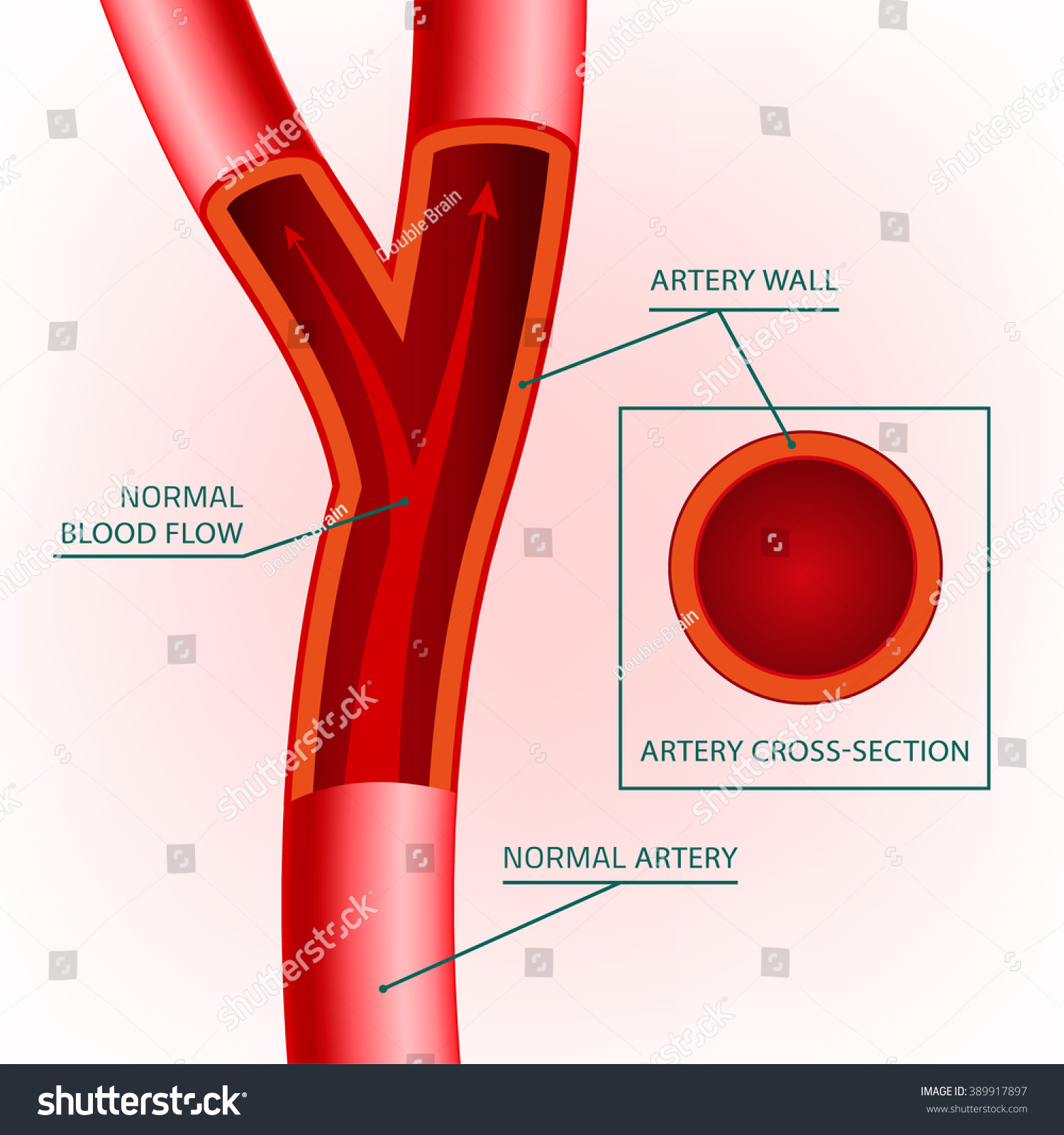 Blood Vein Image Stock Vector (Royalty Free) 389917897