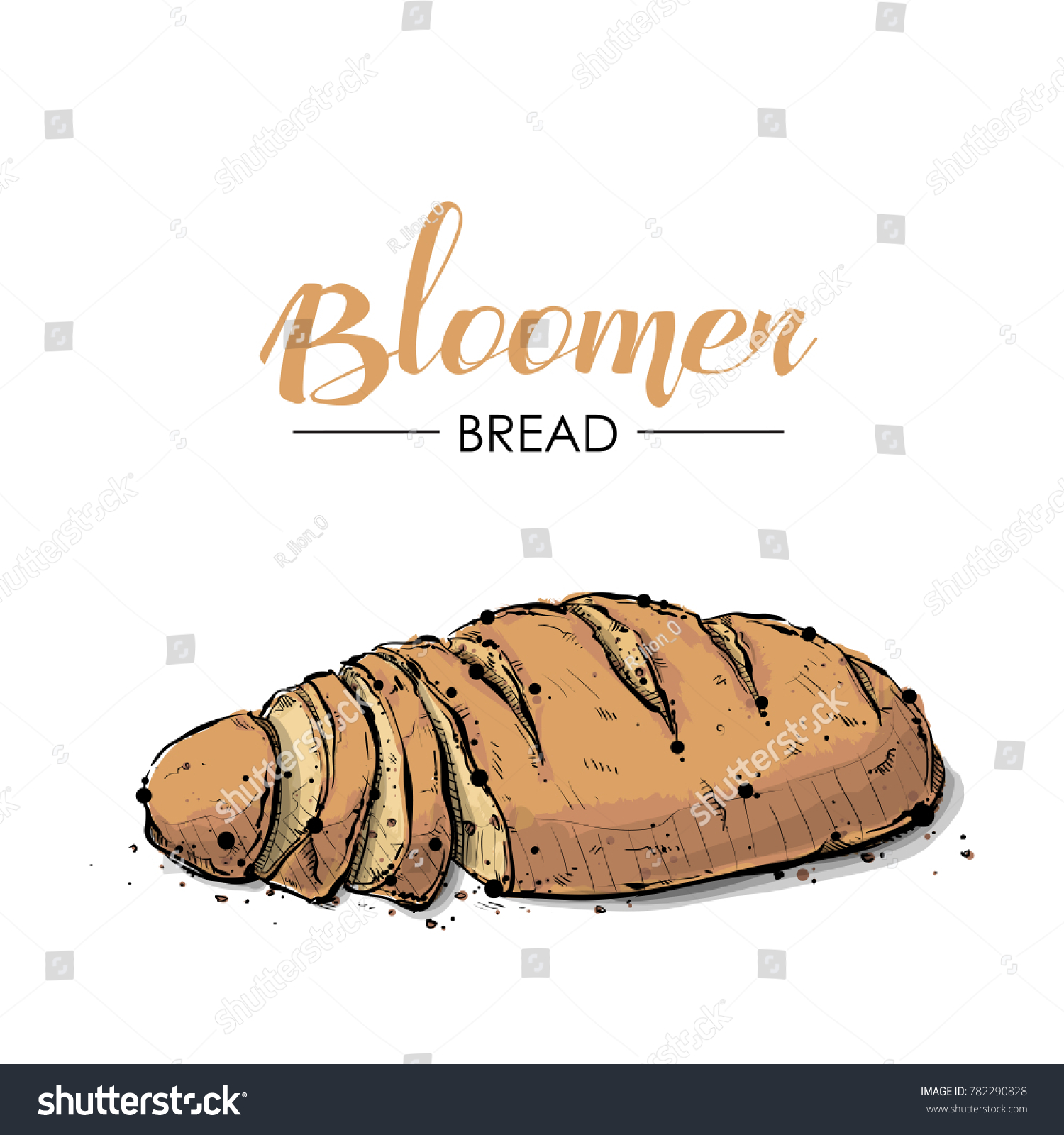 Bloomer Bread Drawing Sketch Style Vector Stock Vector (Royalty Free ...