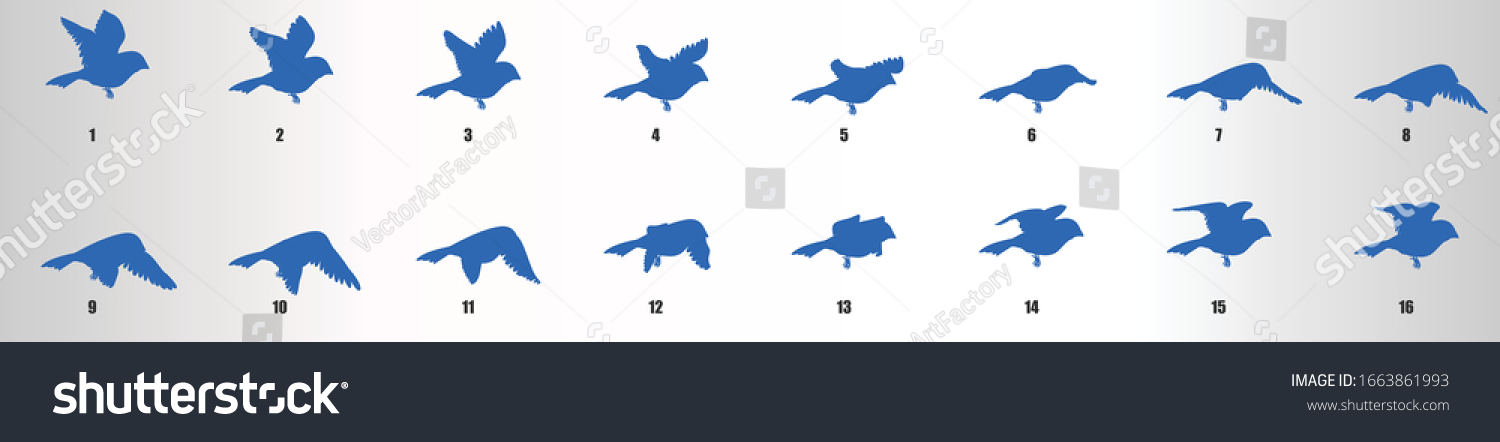 Blue Bird Flying Animation Sequence Silhouette Stock Vector (Royalty ...