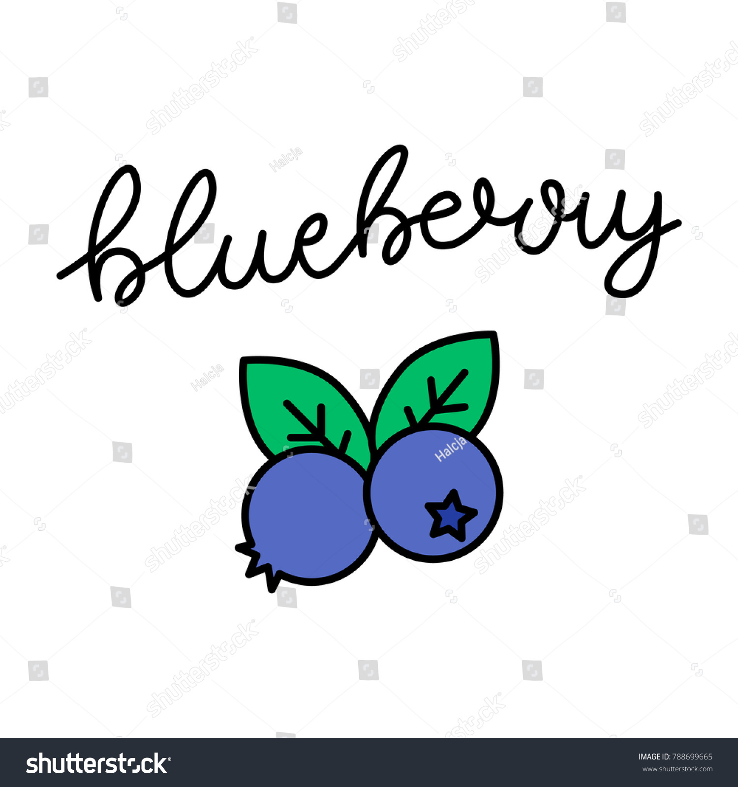 Blueberry Cursive Lettering Vector Colorful Stock Vector (Royalty Free ...