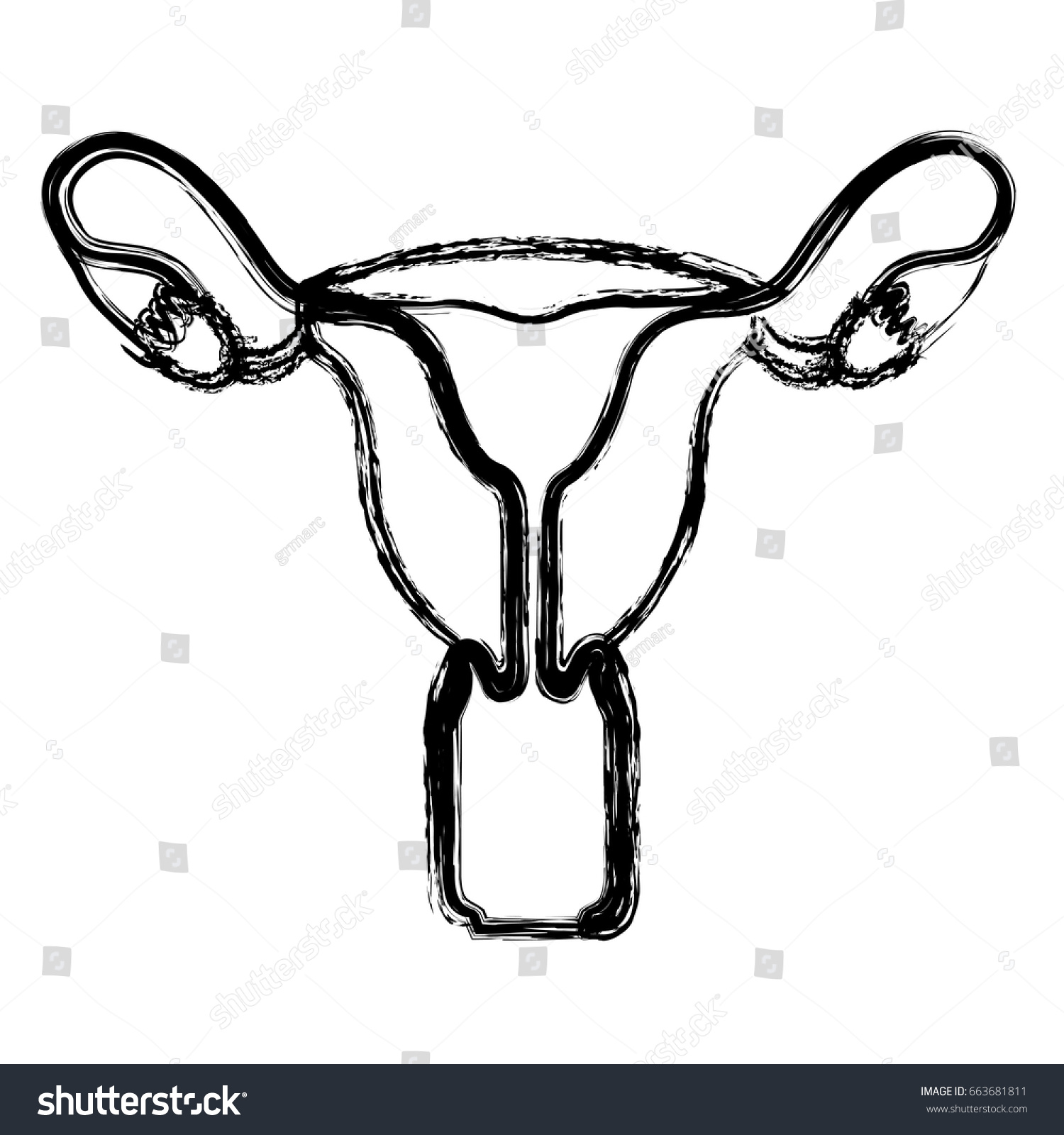 Blurred Realistic Silhouette Female Reproductive System เวกเตอร์สต็อก