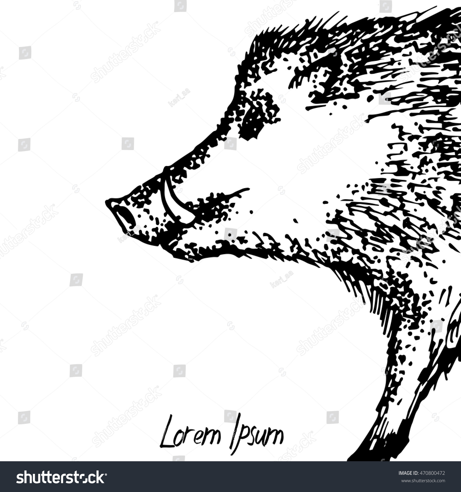 Boar Realistic Drawing Vector Illustration Stock Vector (Royalty Free ...