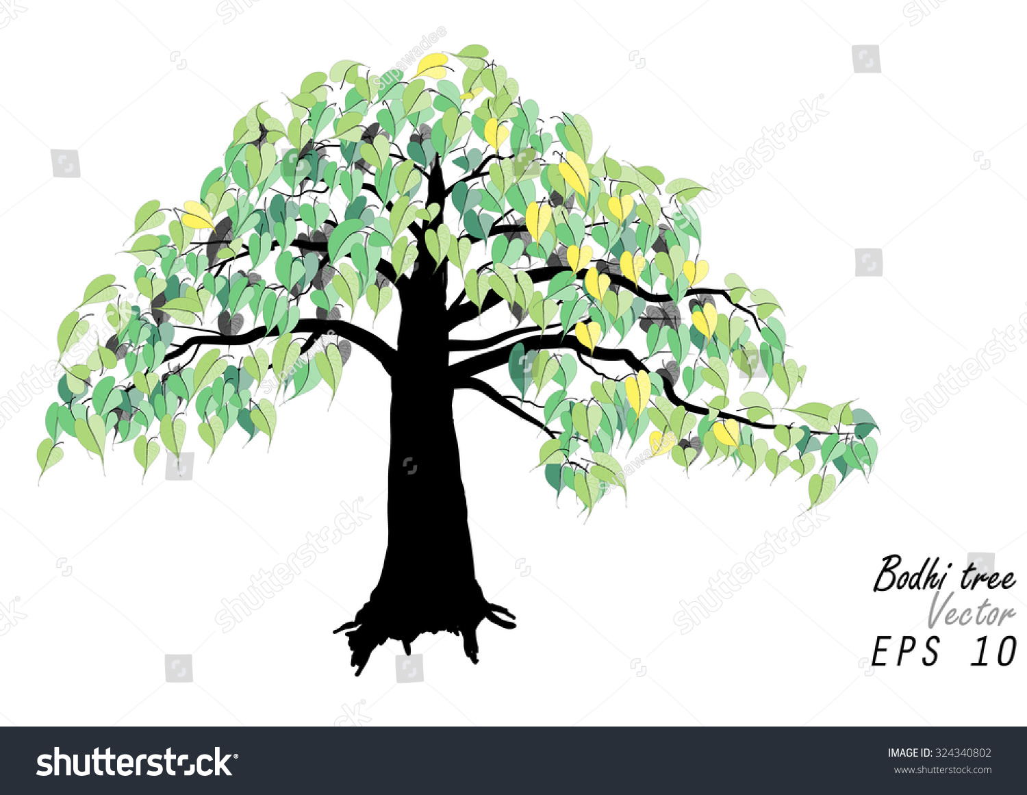 Bodhi Tree On White Background Vector: vetor stock (livre de direitos ...