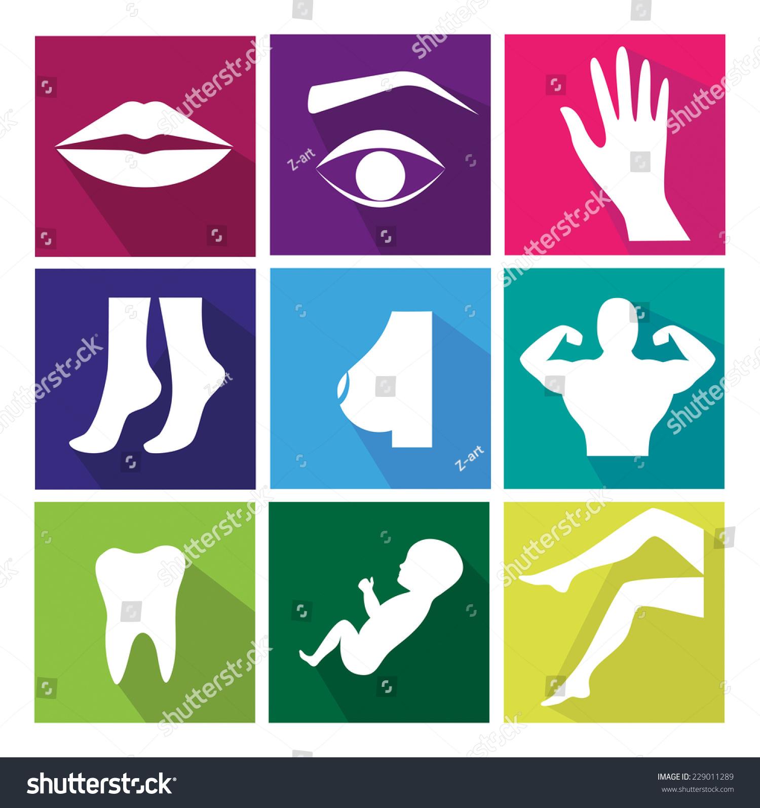 Body Parts Vector Icon Set Stock Vector (Royalty Free) 229011289