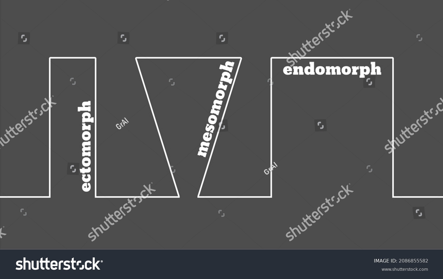 Body Types Icons Set Ectomorph Mesomorph Stock Vector (Royalty Free ...