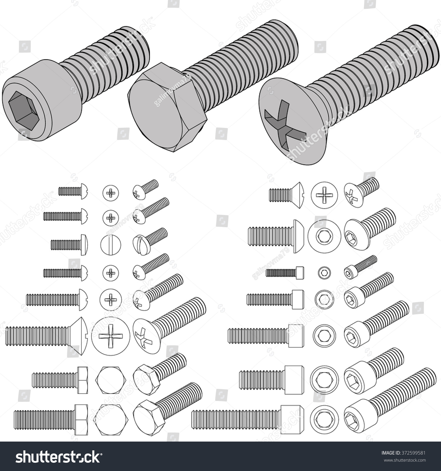 Bolts Screws Stock Vector (Royalty Free) 372599581 - Shutterstock