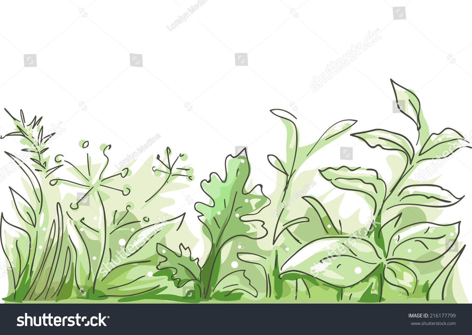 Border Illustration Featuring Different Herbs Stock Vector (Royalty ...