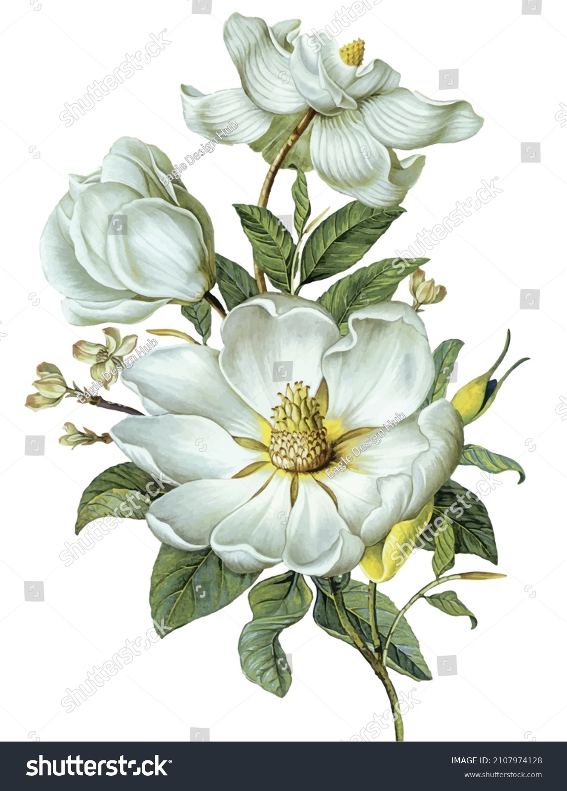 Botanical Flower Bunch On White Background Stock Vector (Royalty Free ...