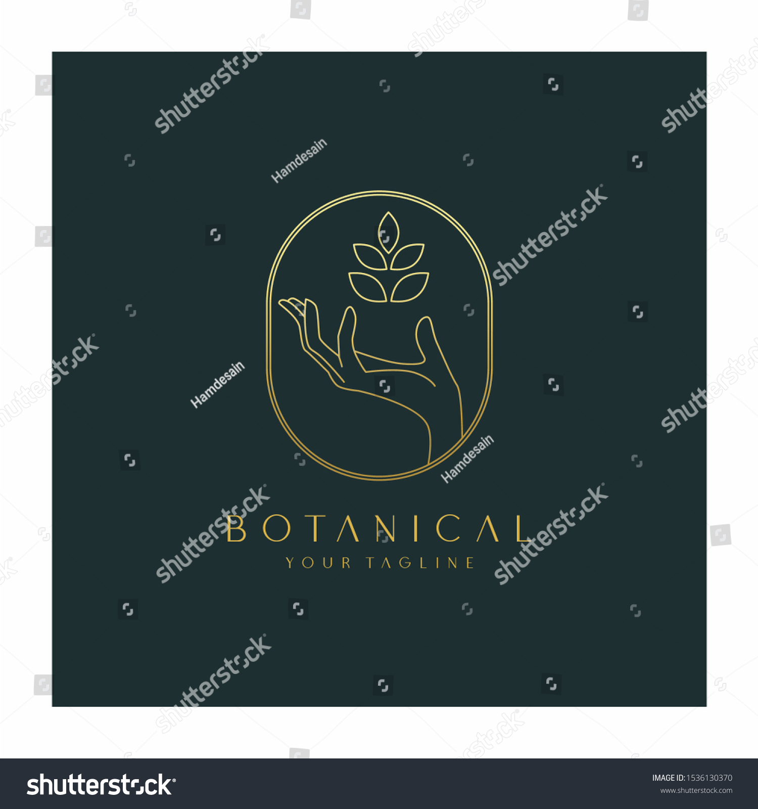 Botanical Hand Logo Design Vector Stock Vector (Royalty Free ...