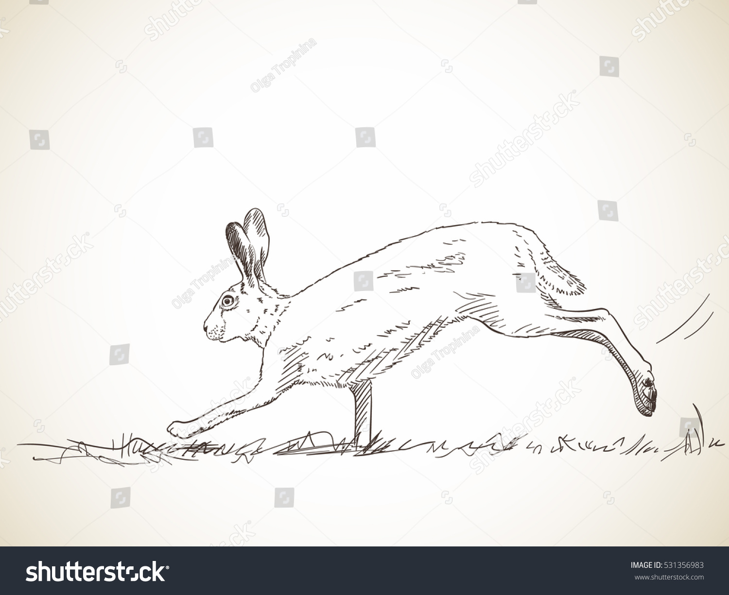 Bouncing Rabbit Vector Sketch Hand Drawn Stock Vector (Royalty Free ...