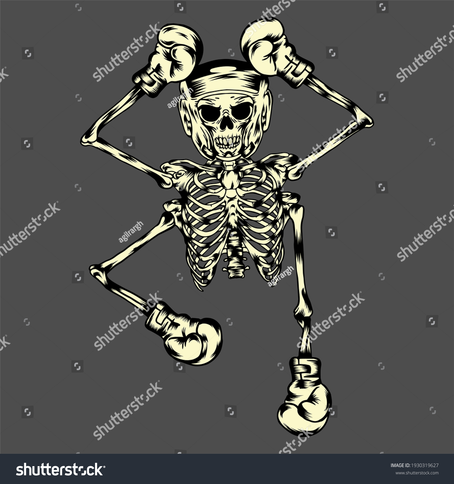 Boxer Skull Old Vintage Vector Stock Vector (Royalty Free) 1930319627 ...