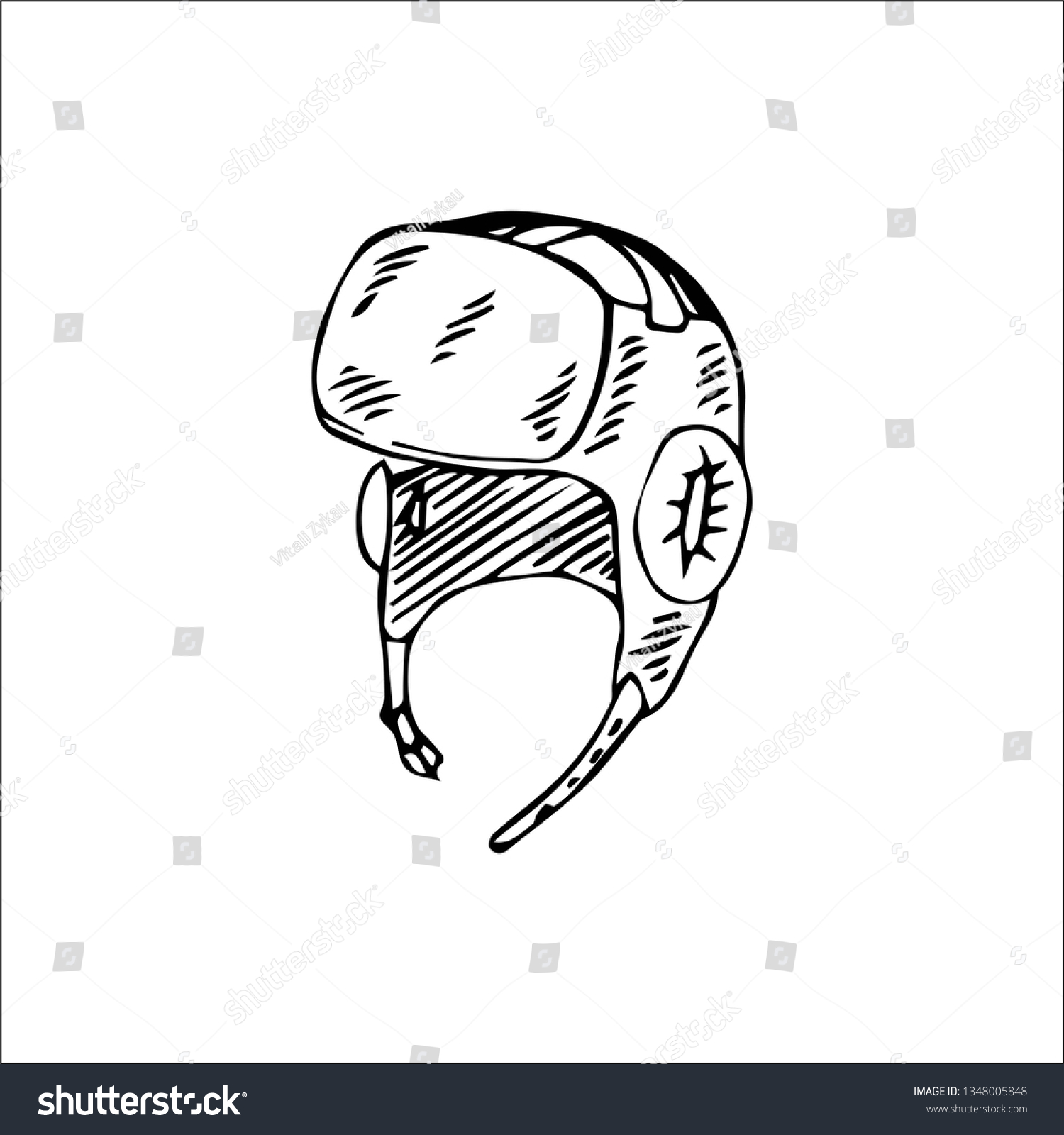 Boxing Helmet Vector Sketch Stock Vector (Royalty Free) 1348005848 ...