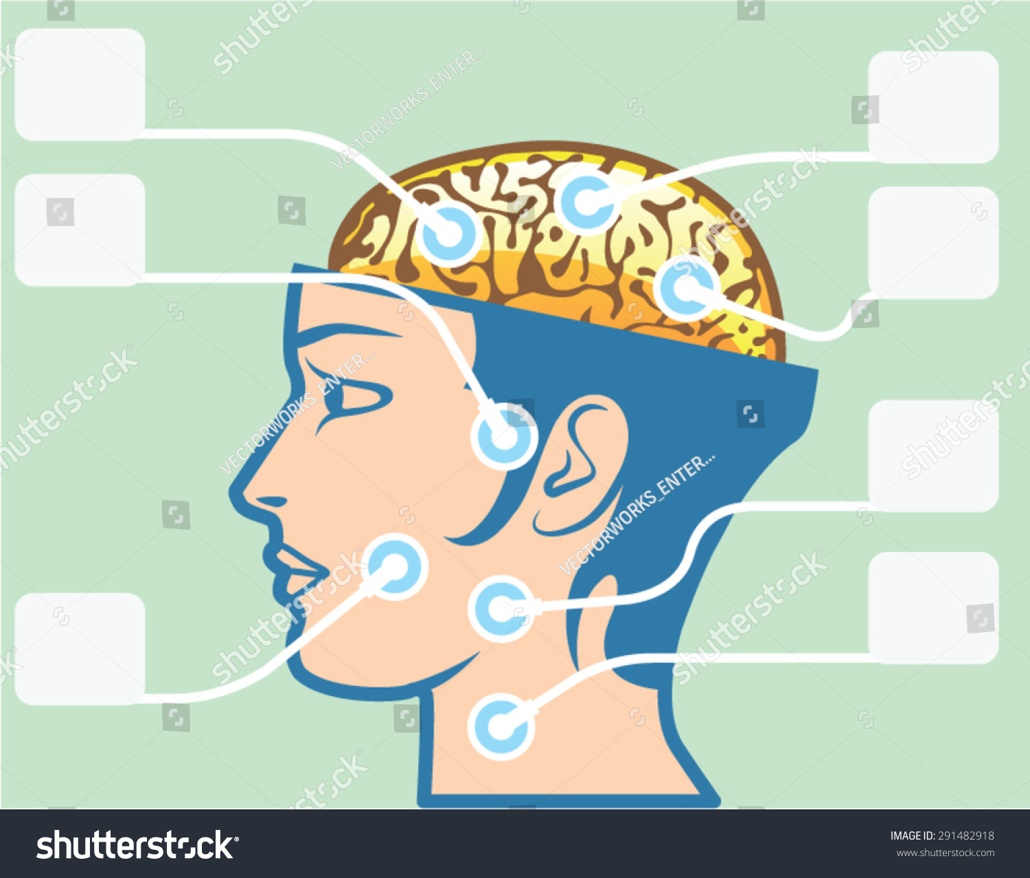 Brain Head Functions Diagram Stock Vector (Royalty Free) 291482918