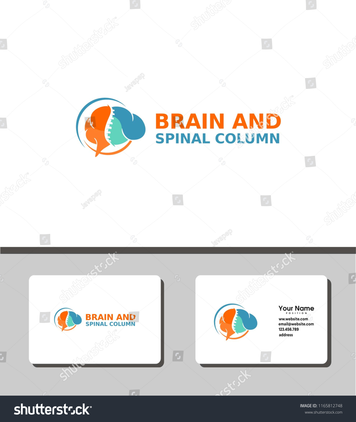 Brain Spinal Column Stock Vector (Royalty Free) 1165812748