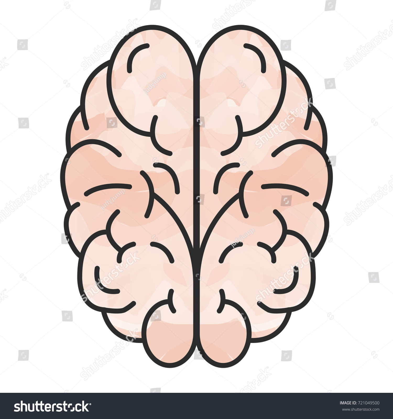 Brain Cartoon Vector Stock Vector (Royalty Free) 721049500 | Shutterstock