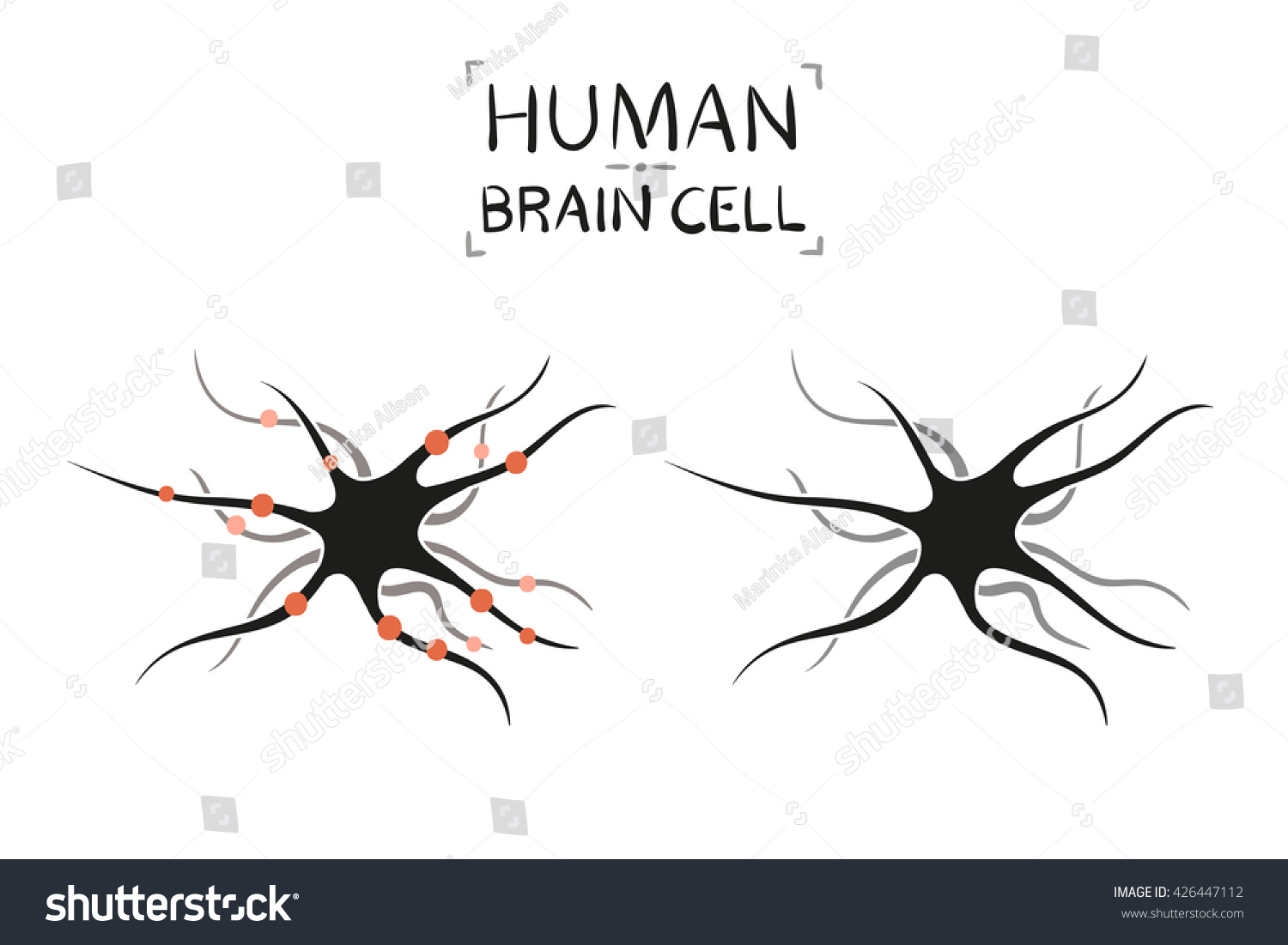 Brain Cell Vector Illustration Isolated On Stock Vector (Royalty Free ...