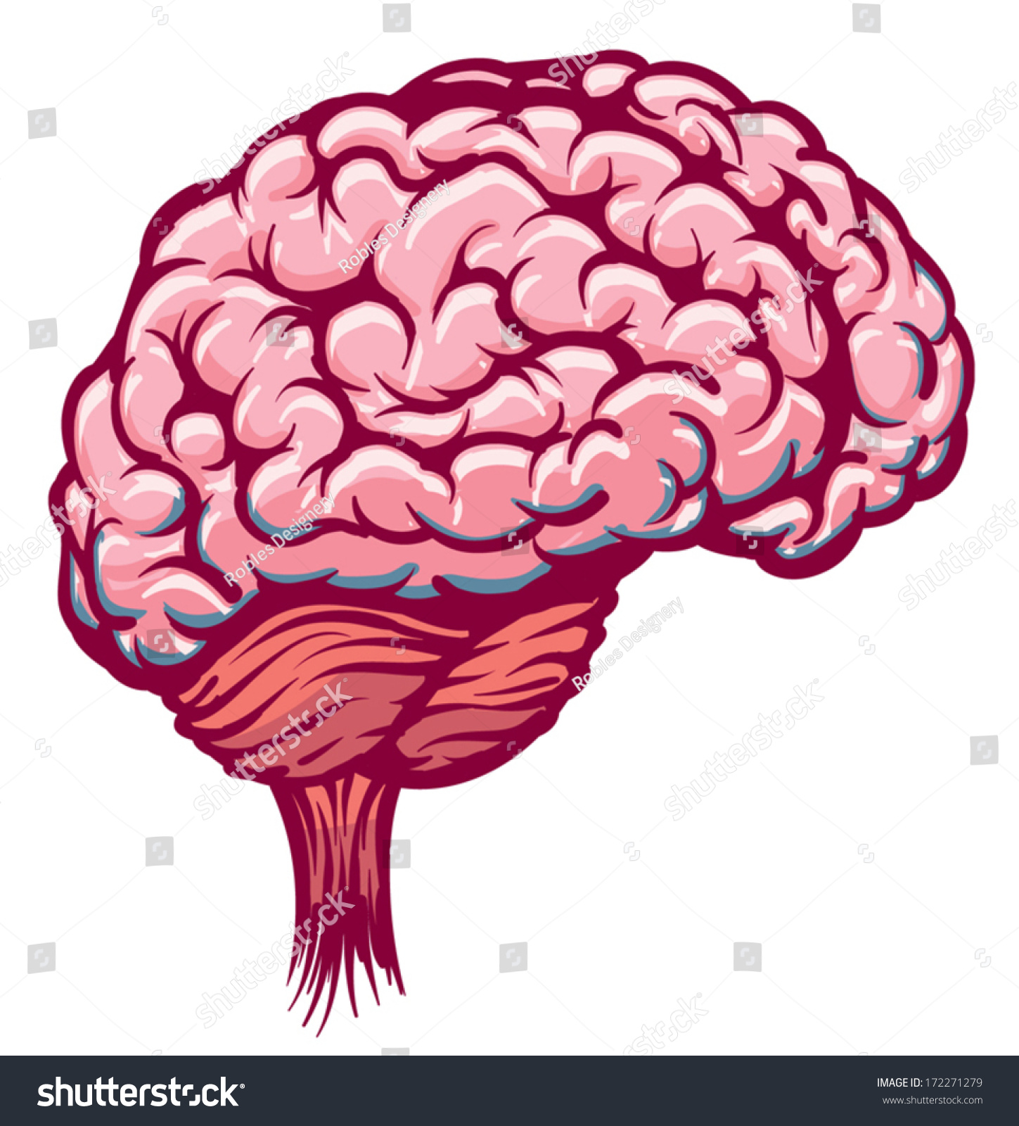 Brain Organ Stock Vector 172271279 - Shutterstock