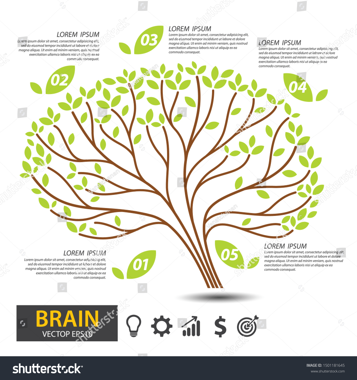 Brain Tree Design Infographic Template Presentation Stock Vector ...