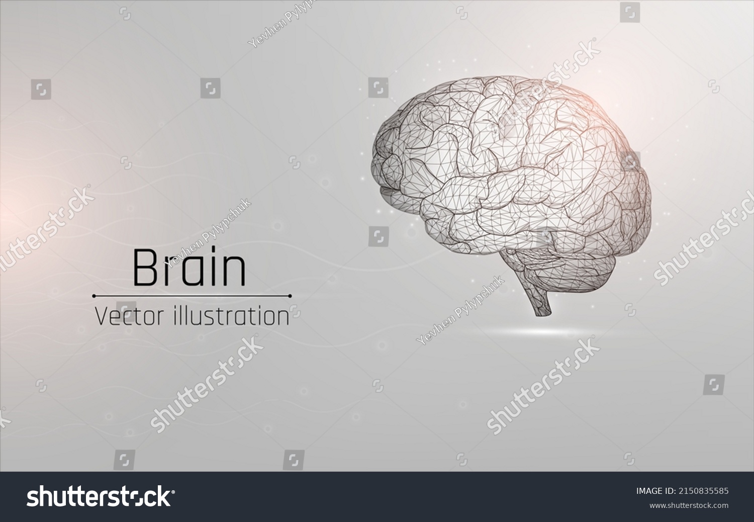 Brain Wireframe Digital Human Brain Iq Stock Vector (Royalty Free ...