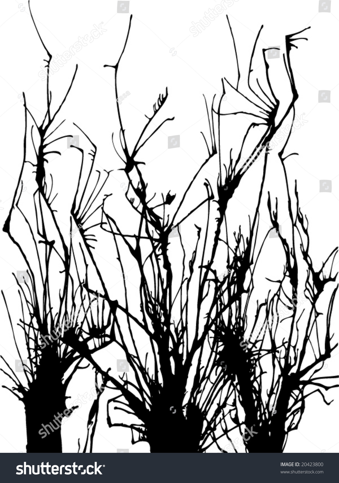 Branch Illustration Vector Stock Vector (Royalty Free) 20423800 ...