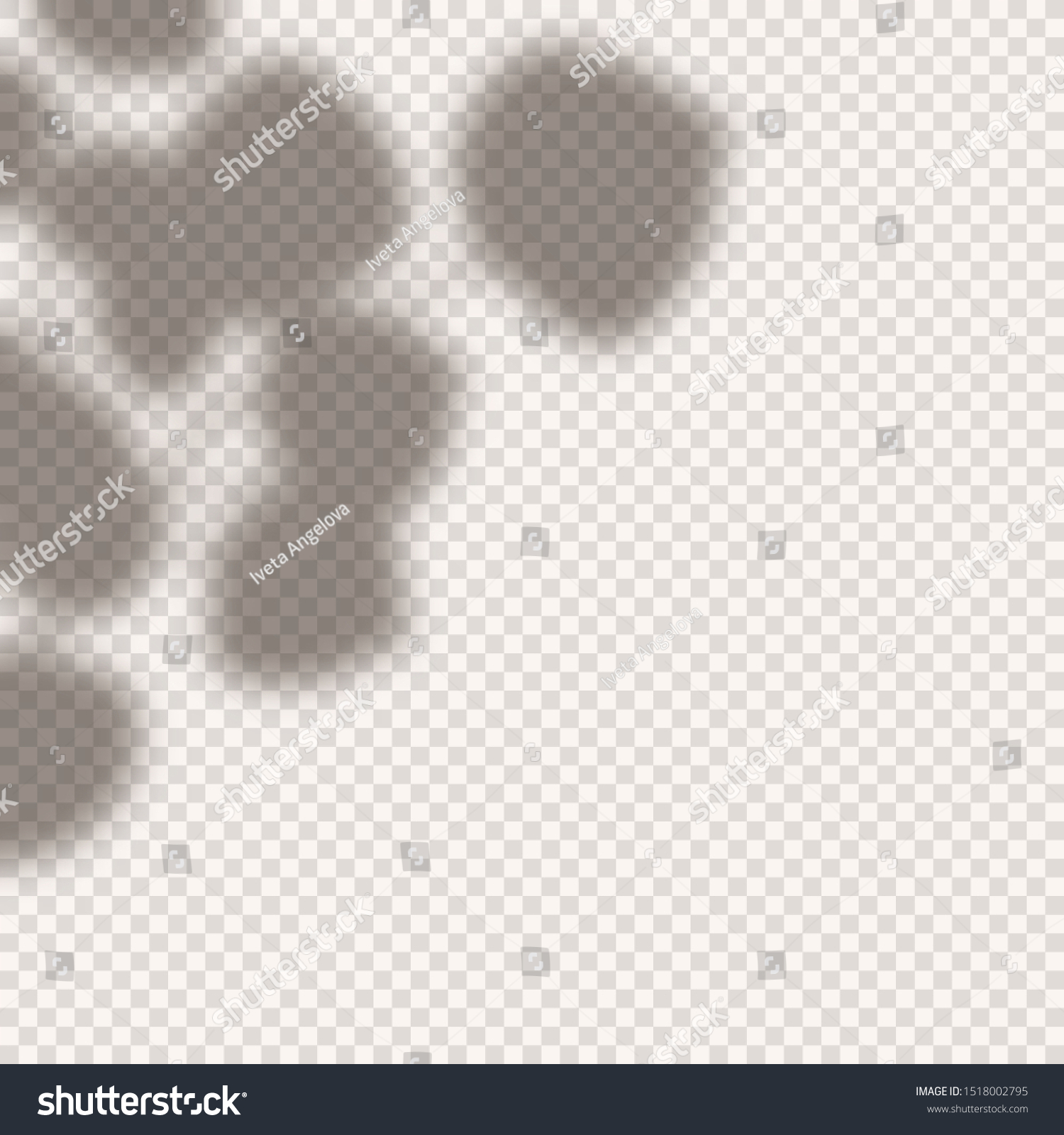 Branch Shadow Overlay Mock Design Fully: เวกเตอร์สต็อก (ปลอดค่า ...