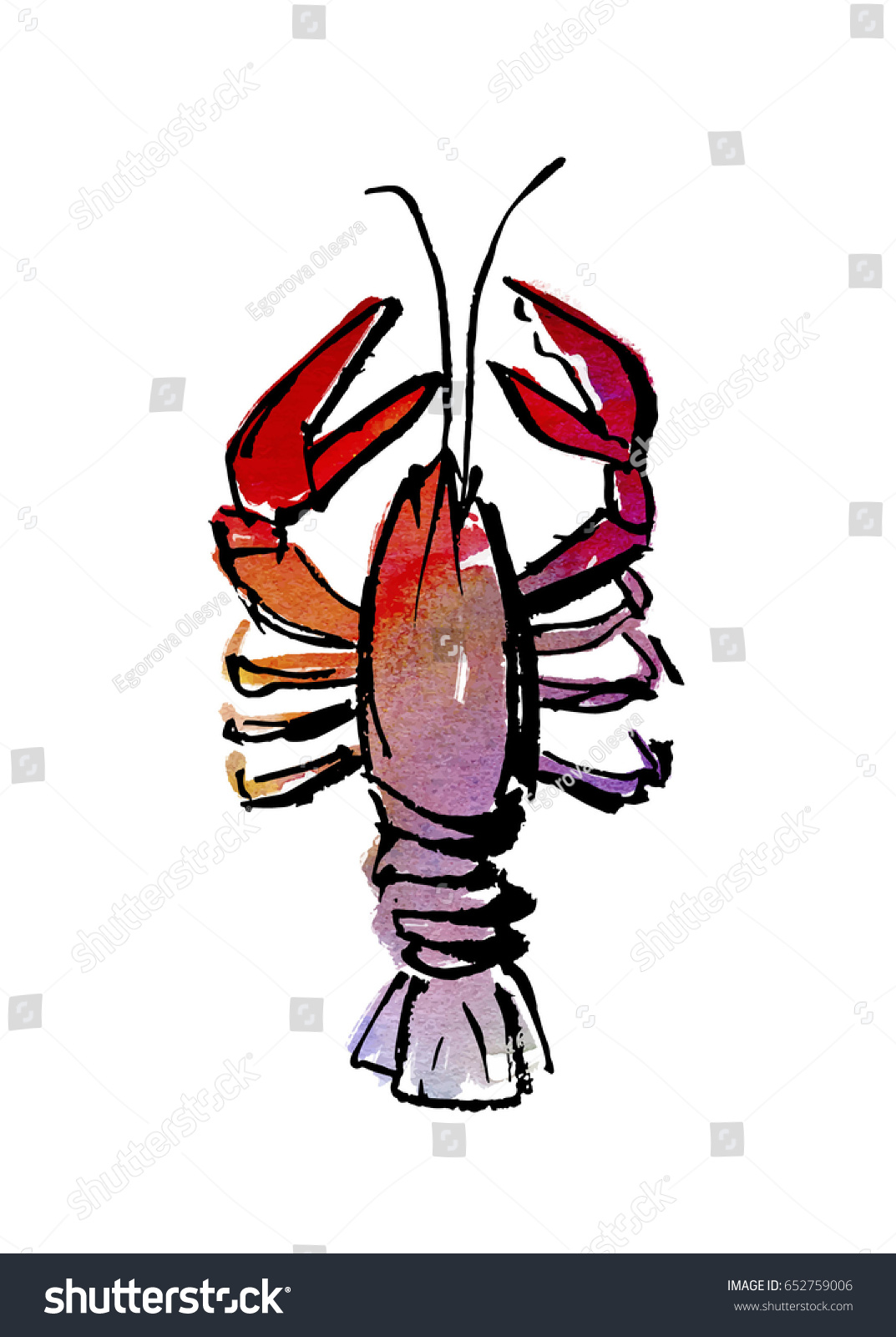 Crawfish Stock Illustrations, Images & Vectors | Shutterstock
