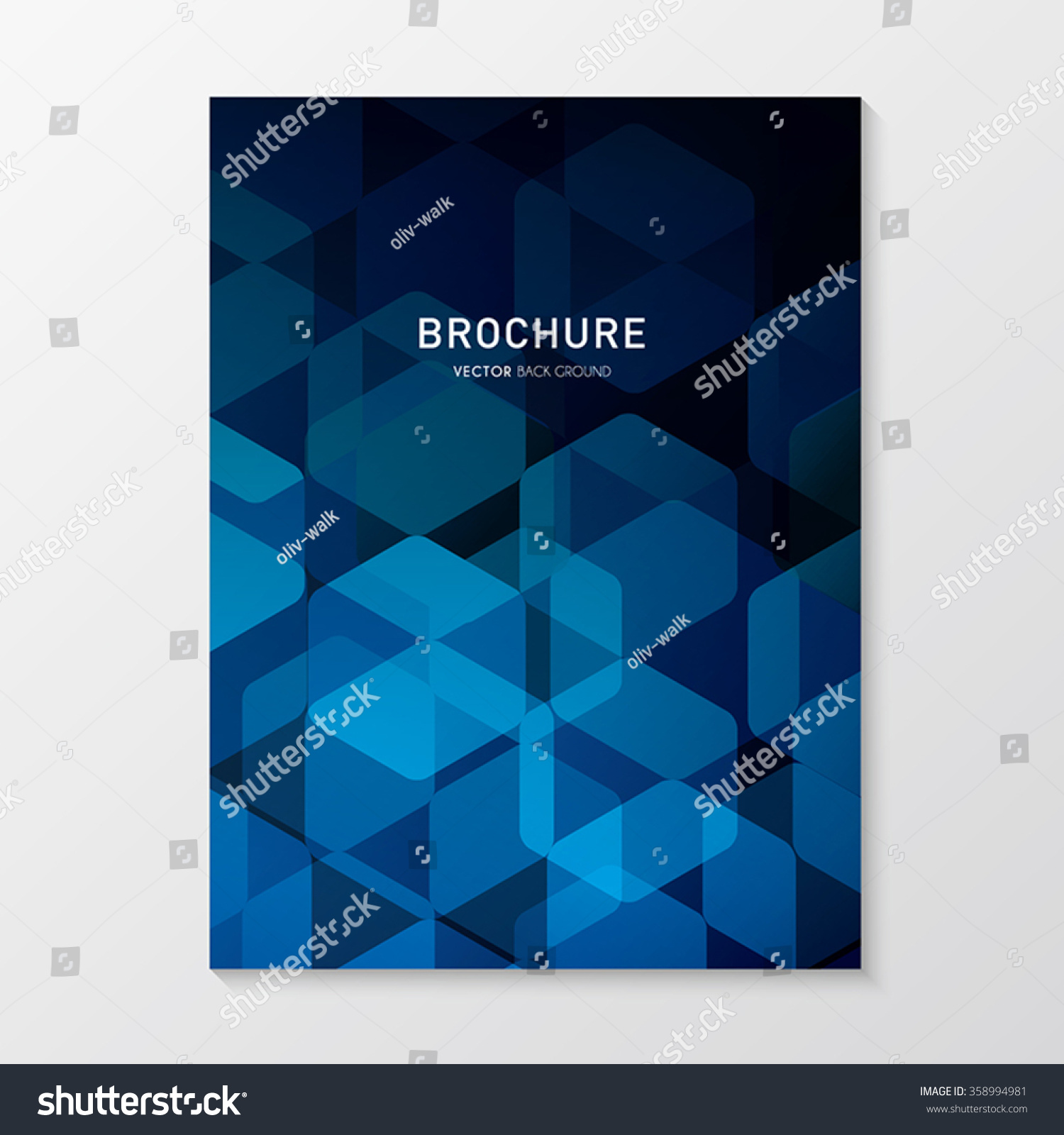 Brochure Design Hexagon Pattern Stock Vector (Royalty Free) 358994981