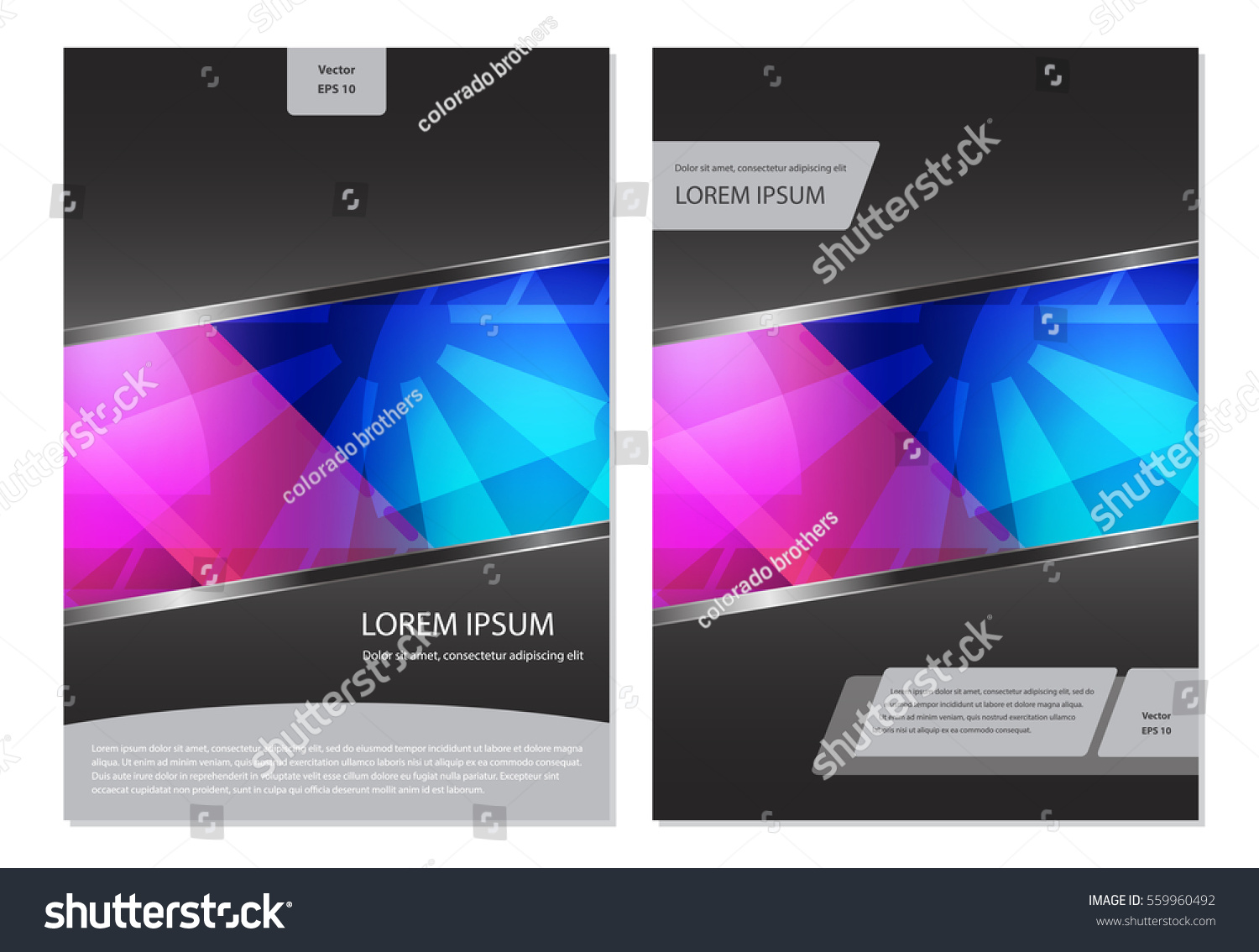 Brochure Template Elegant Abstract Vector Stock Vector (Royalty Free ...