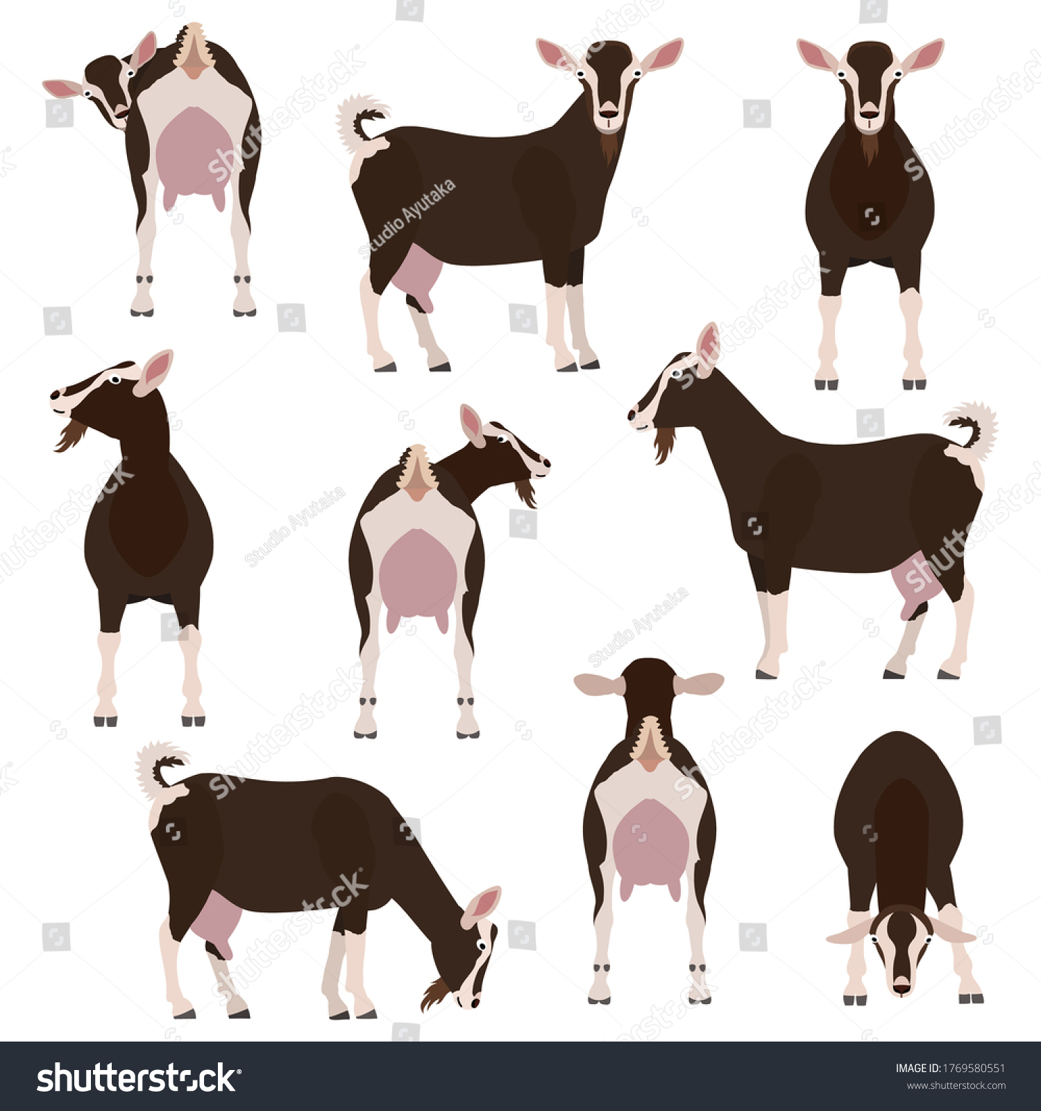 2,192 Goat angle Images, Stock Photos & Vectors | Shutterstock
