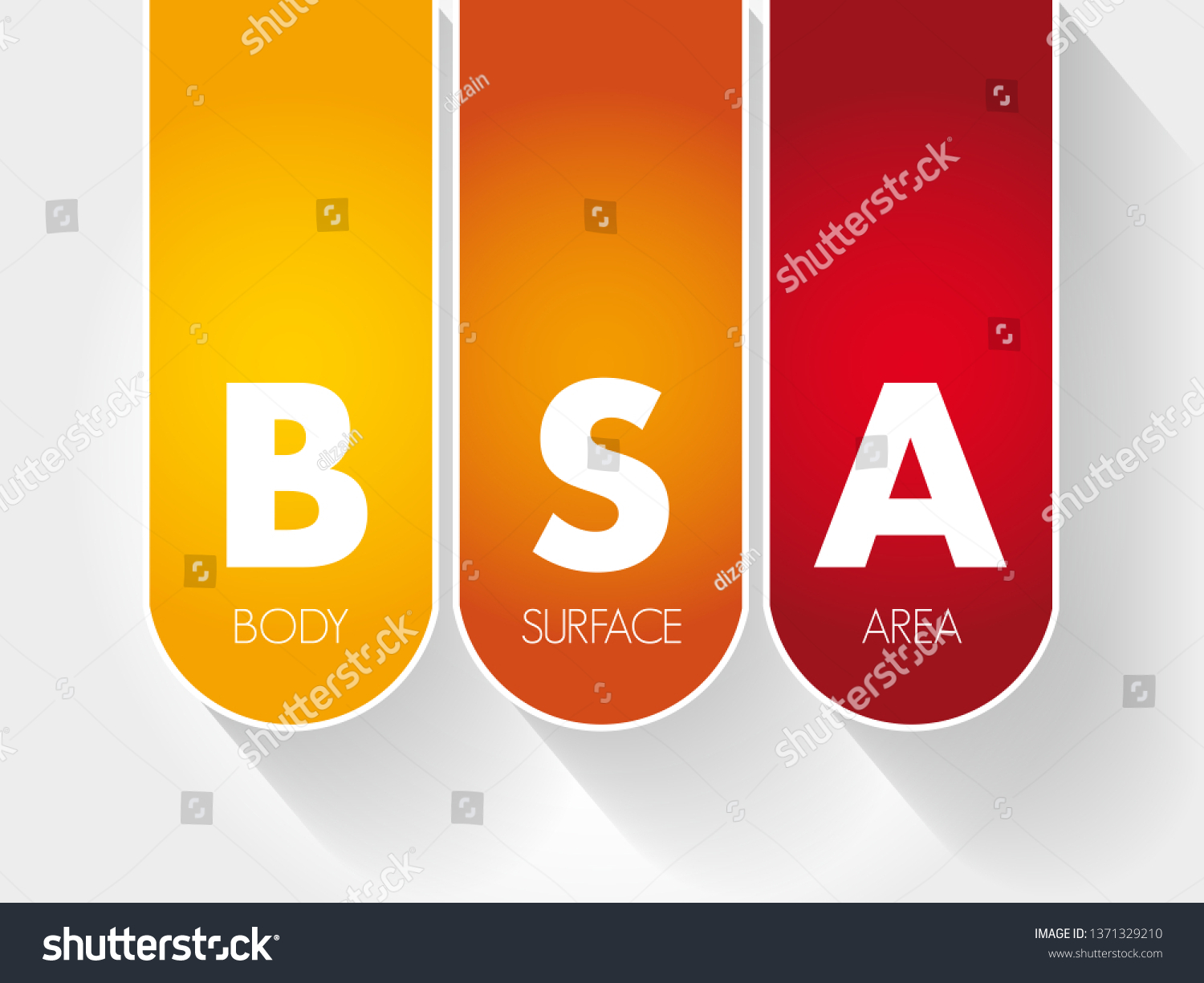 Bsa Body Surface Area Acronym Concept Stock Vector (Royalty Free ...