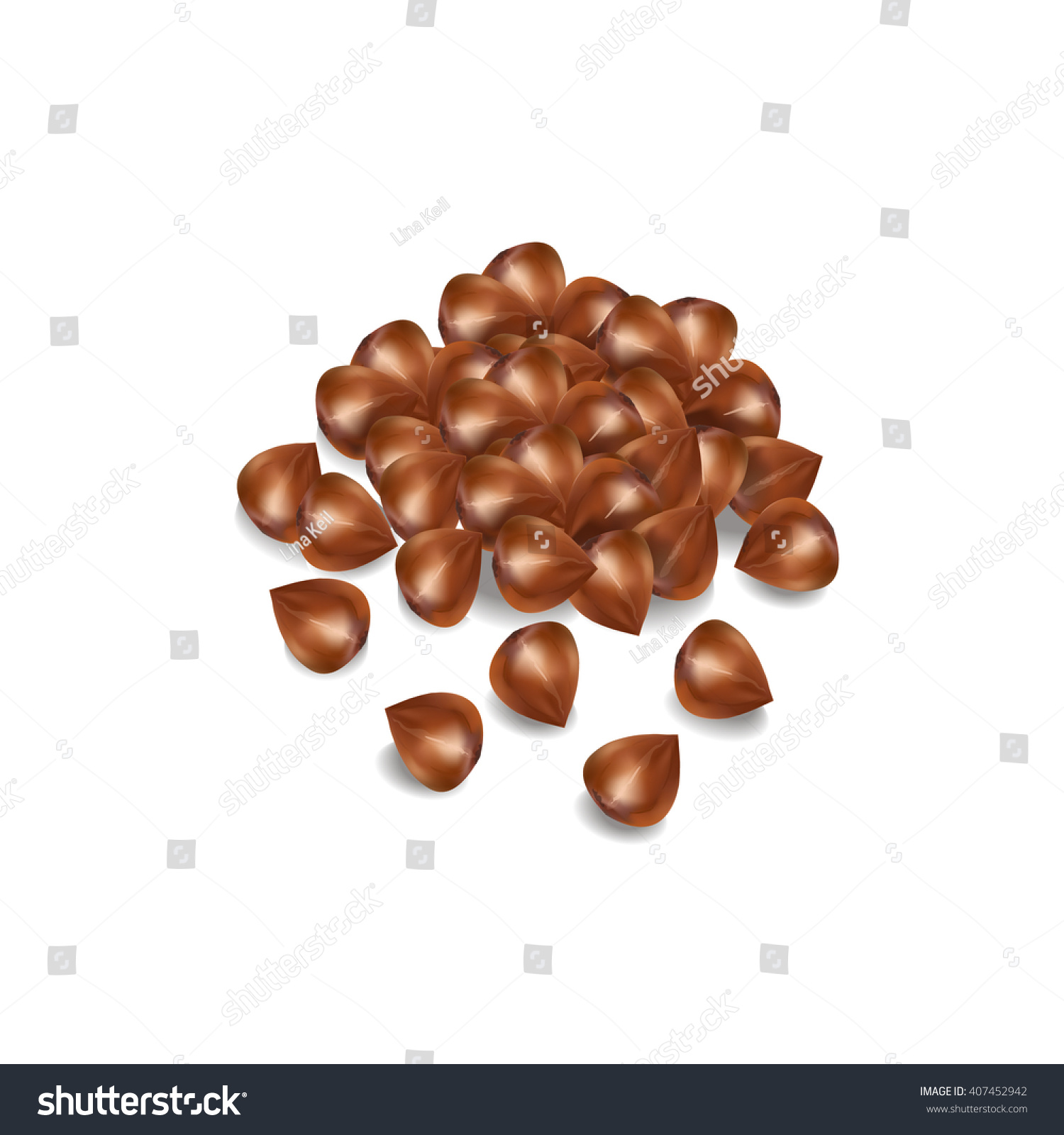 Buckwheat Grain Vector Illustration Stock Vector (Royalty Free) 407452942
